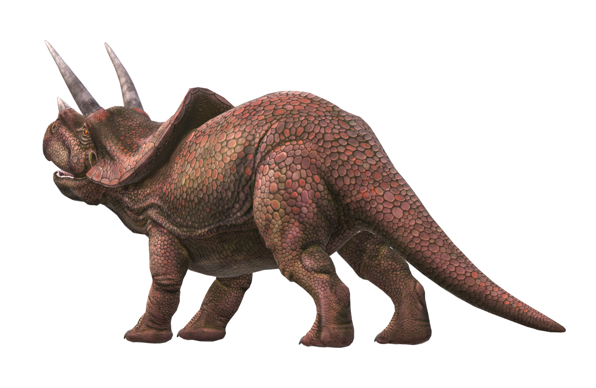 Triceratops isoliert auf ein transparent Hintergrund 24064128 PNG Triceratops isoliert auf ein transparent Hintergrund 24064128 PNG