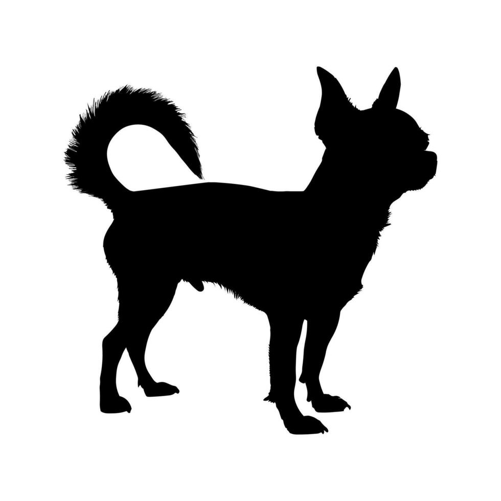 Chihuahua dog silhouette isolated on a white background. Vector ...