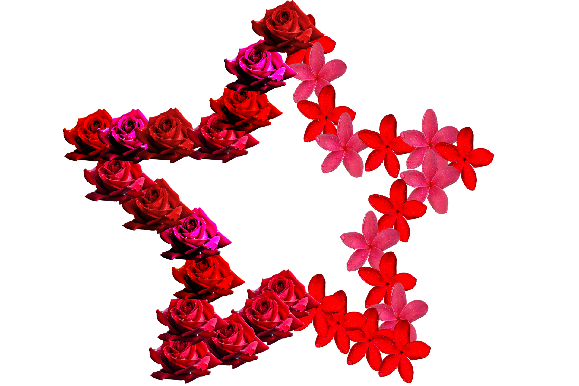 Flower For Shape Star 24079031 PNG