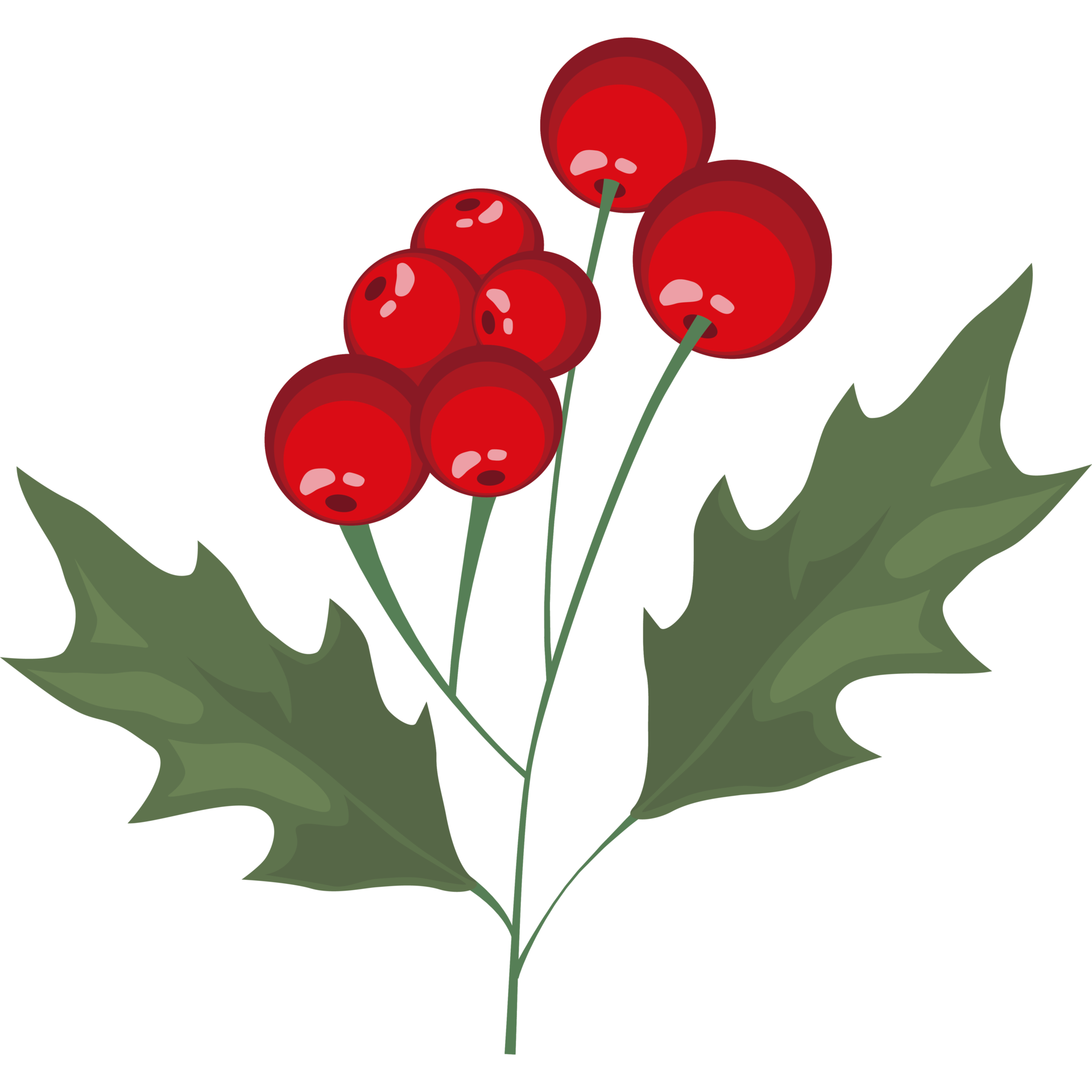 Graines Et Feuilles De Gui 24085618 Png
