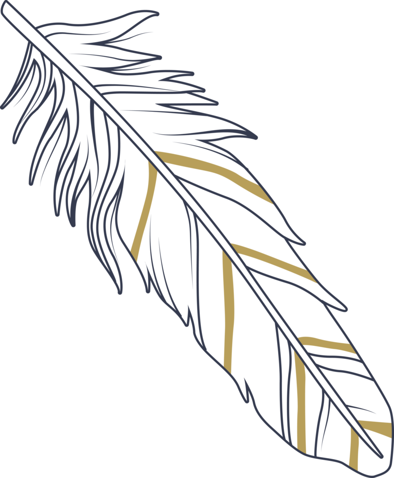 Feather Sketch Drawn 24095206 Png