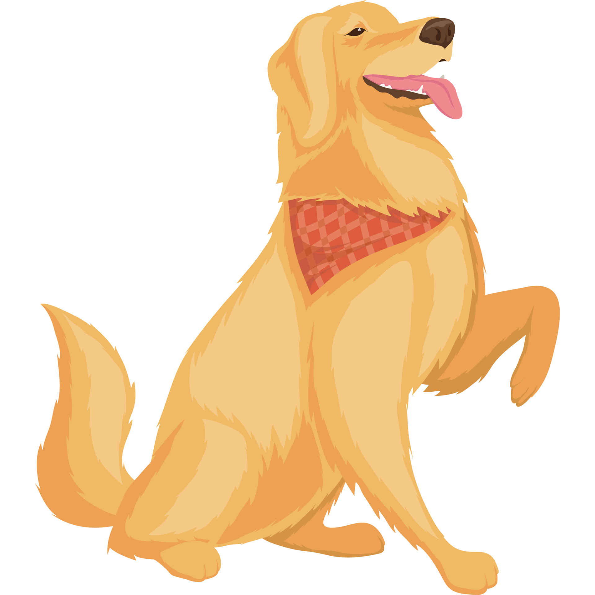 golden retriever dog 24098817 PNG golden retriever dog 24098817 PNG