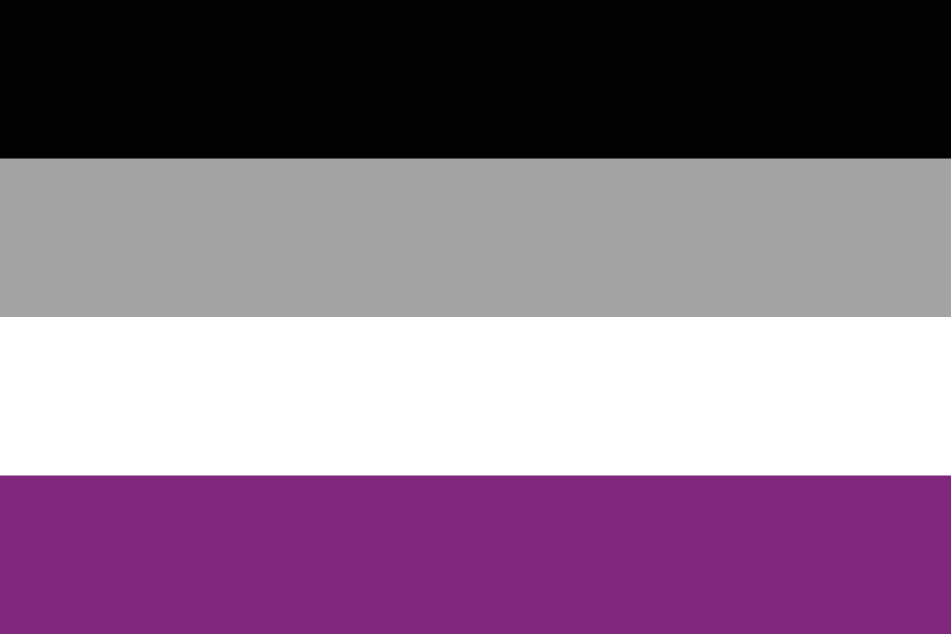 Asexual Pride Flag International Asexual Pride Flag 24100387 Vector