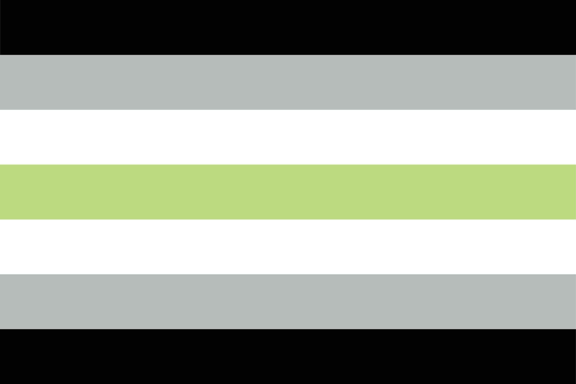 Agender Pride Flag Symbol Of Agender Community 24100396 Vector Art At