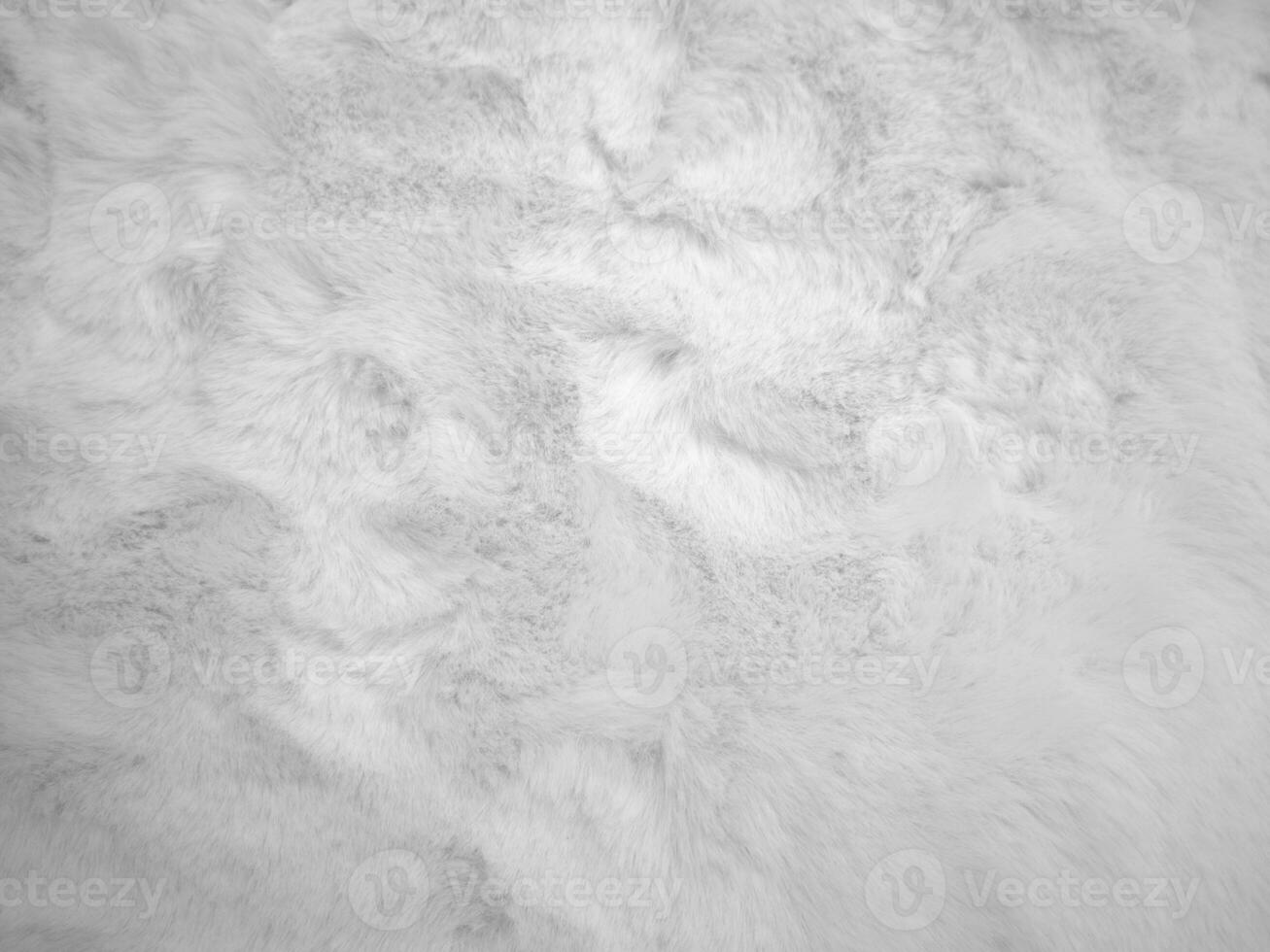 Page 2 | White Fur Background Stock Photos, Images and Backgrounds for ...