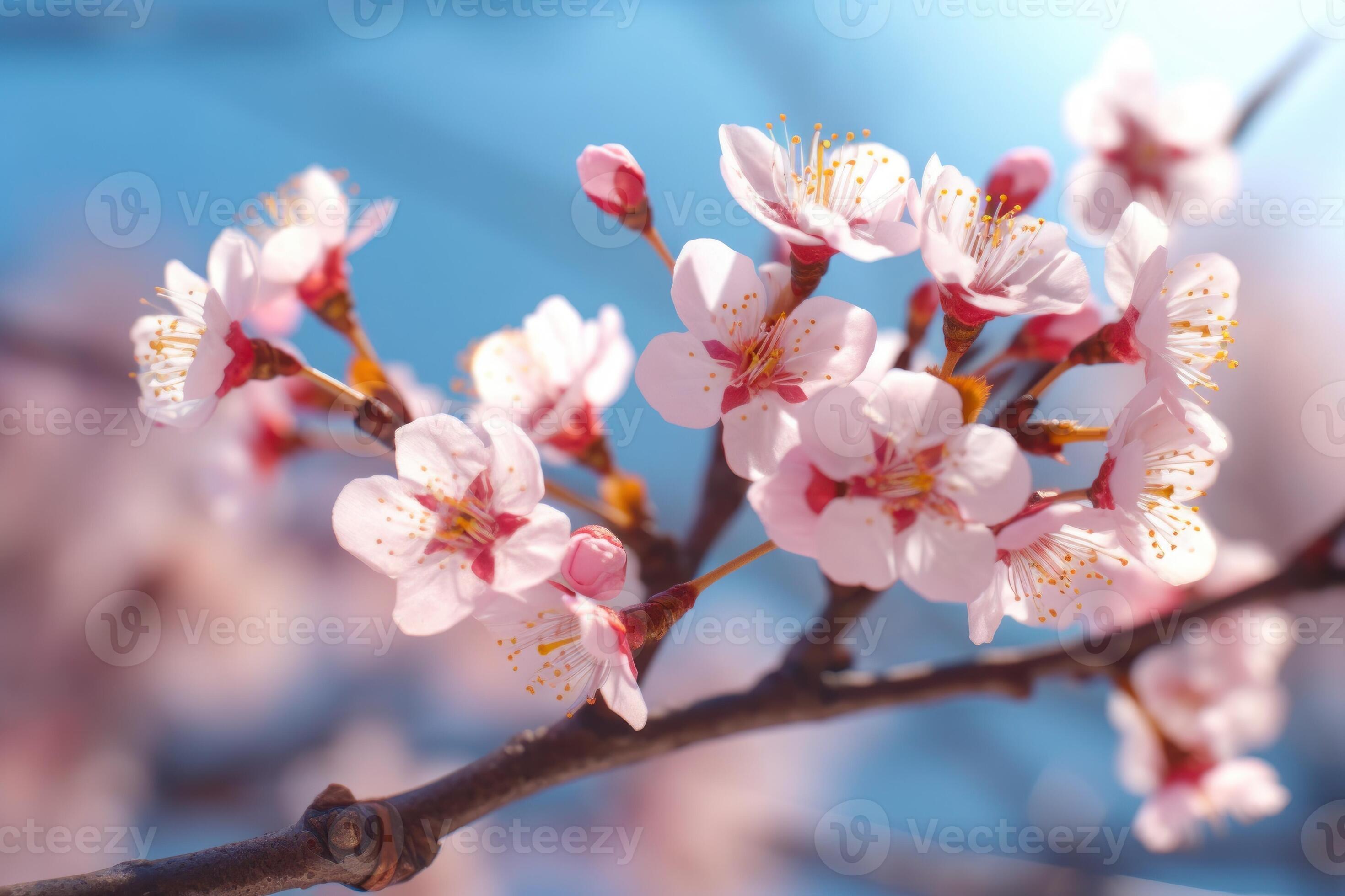 close up hyperrealistic cinematic blossom cherry tree background ...