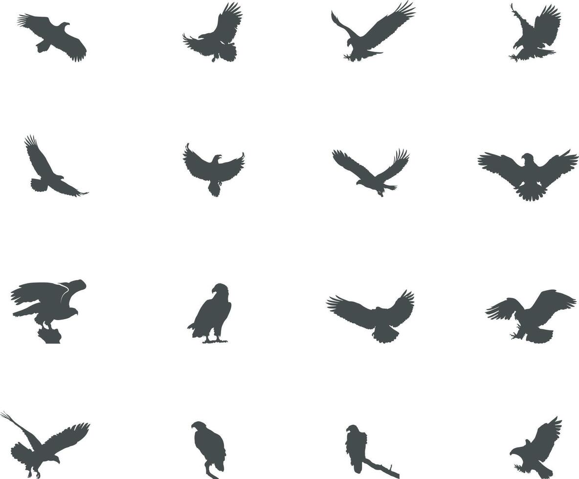 Eagle Silhouette Bald Eagle Silhouette Flying Eagle Silhouette
