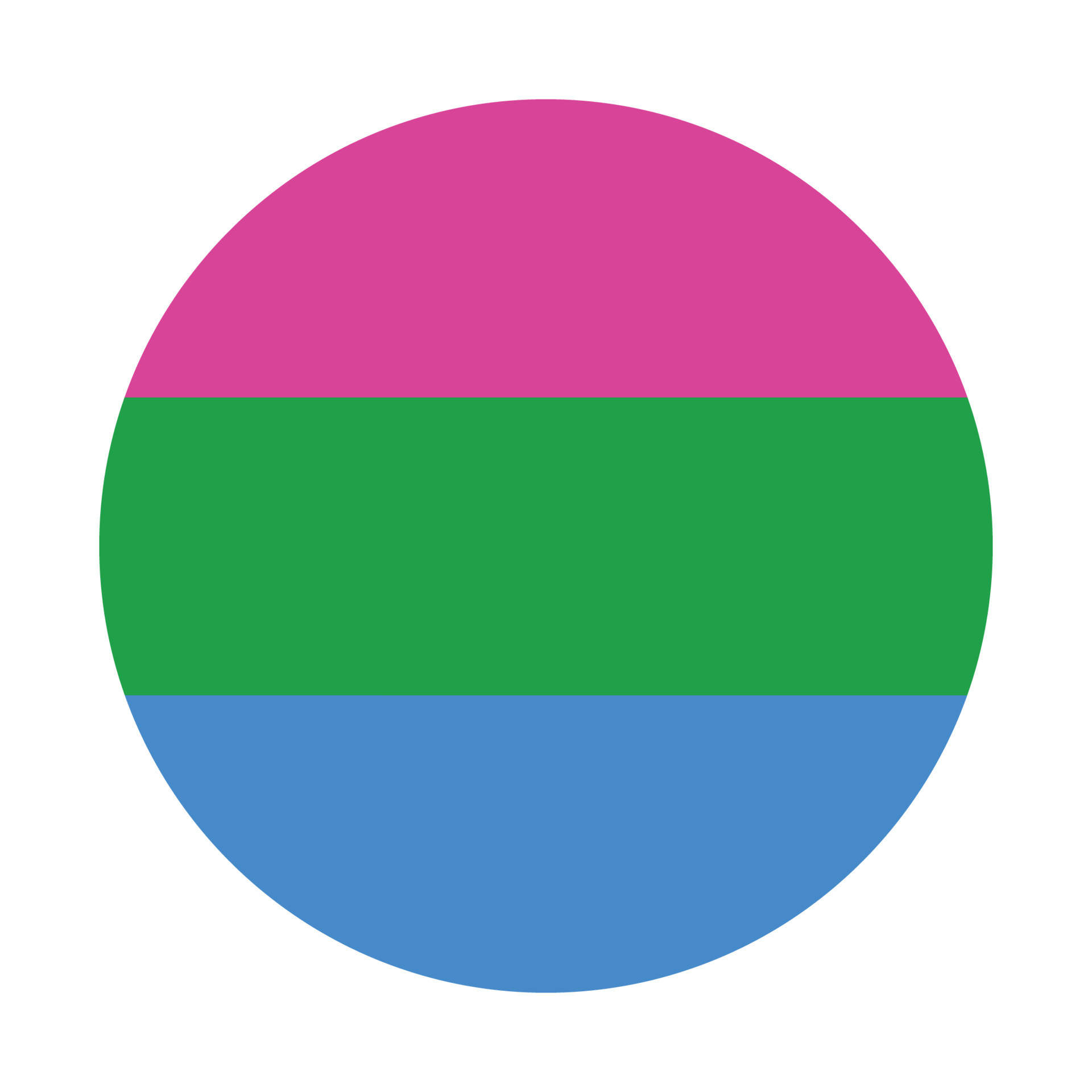 Polysexual Pride Flag Lgbtq Flag 24113886 Vector Art At Vecteezy