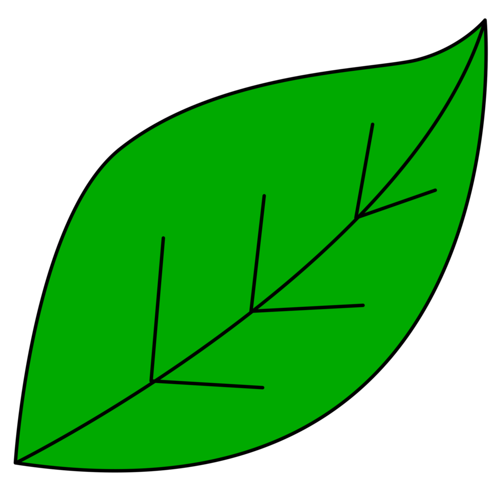 Desenho De Folha Verde 24134723 Png