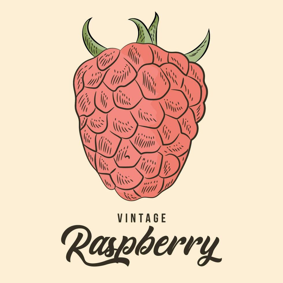 Raspberry Fruit Diagram