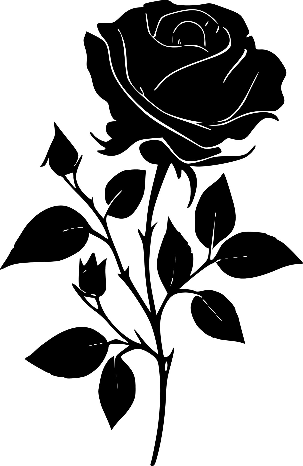 Rose Black And White Vector Illustration 24143521 Vector Art At Vecteezy