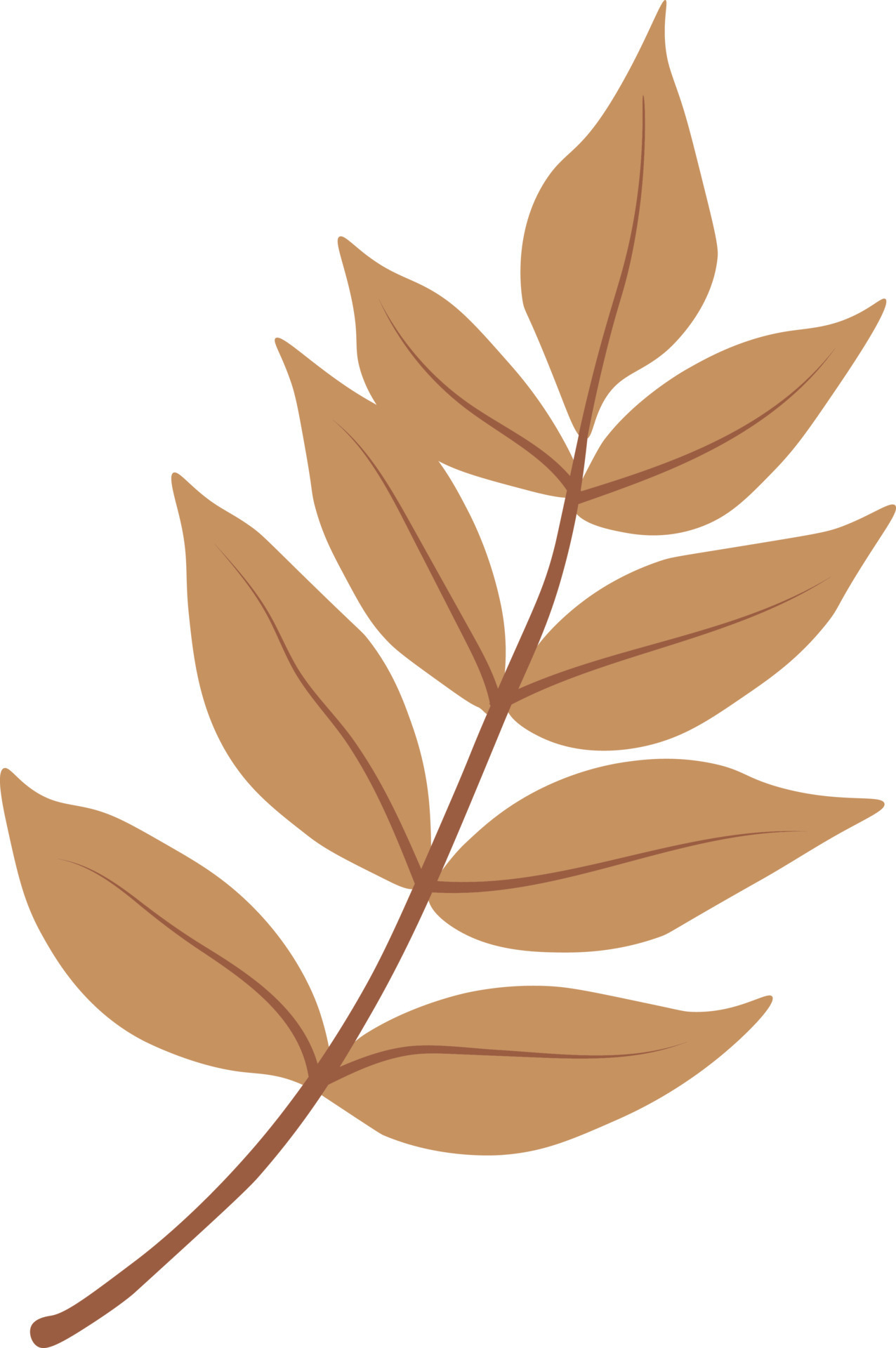 Autumn leaves vector graphic 24150077 Vector Art at Vecteezy Autumn leaves vector graphic 24150077 Vector Art at Vecteezy