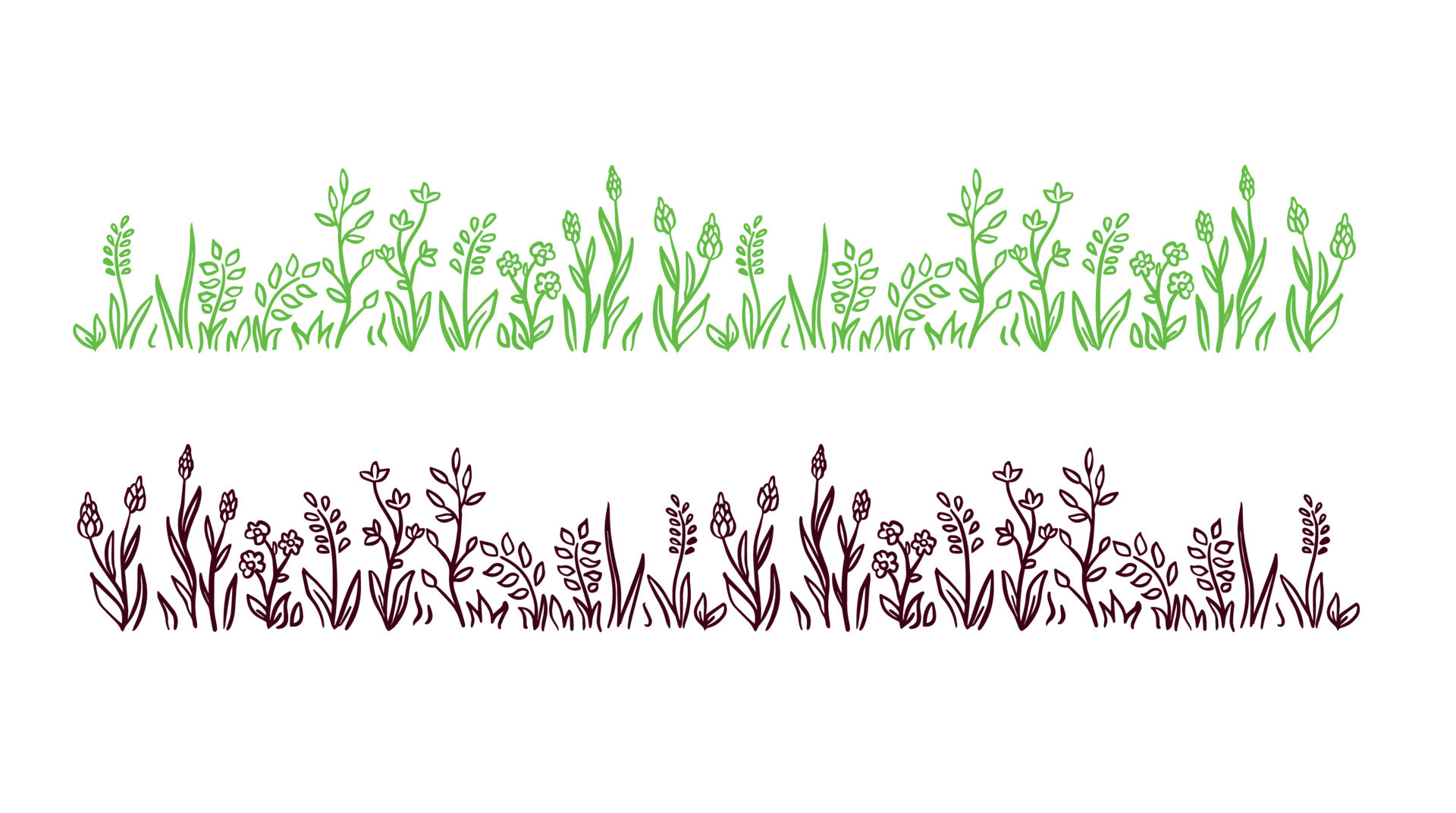 Wild herb, flowers and grass hand drawn in doodle style.Vector ...