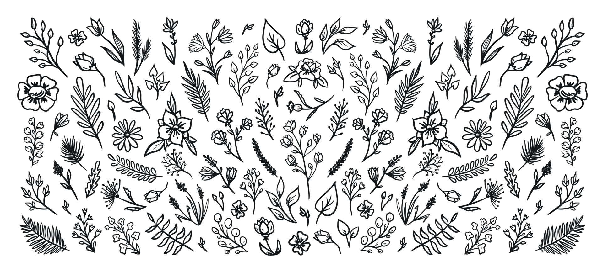 Hand Drawn Vector Vintage Elements Of Flowersleavesfeatherssprigsvector Illustration