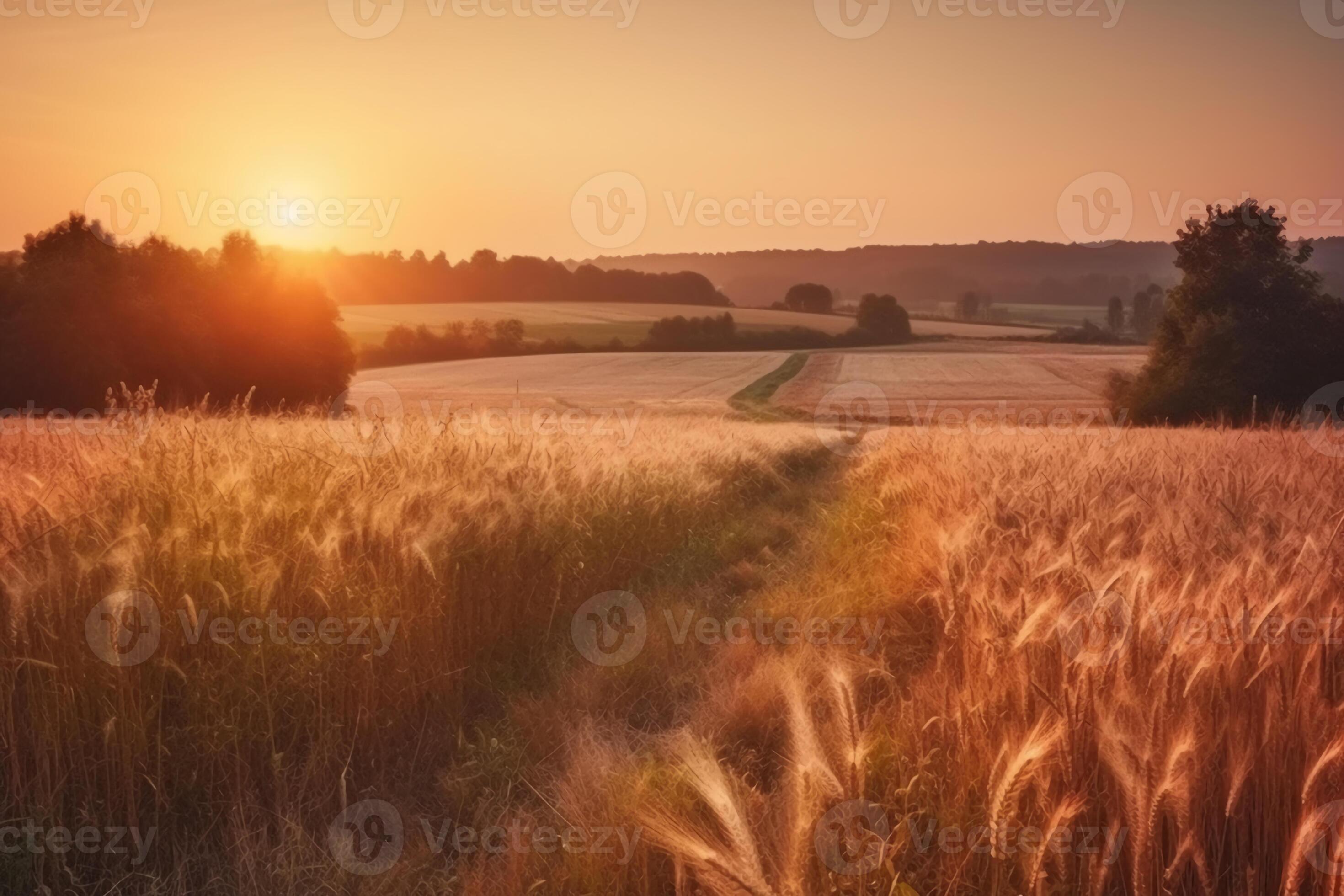 Beautiful colorful natural panoramic landscape with a field of ripe ...