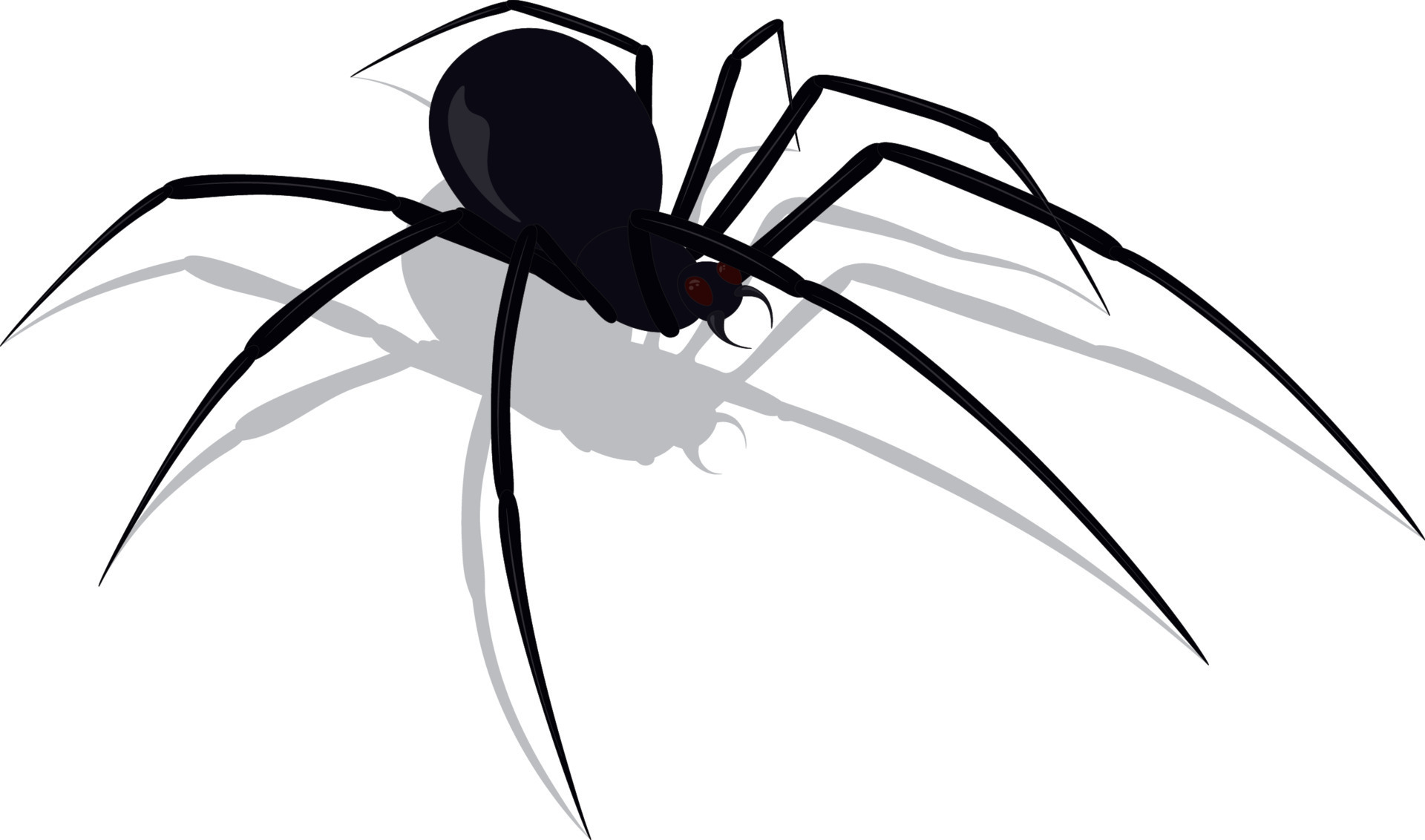 Big black venomous spider vector illustration 24177235 Vector Art at ...