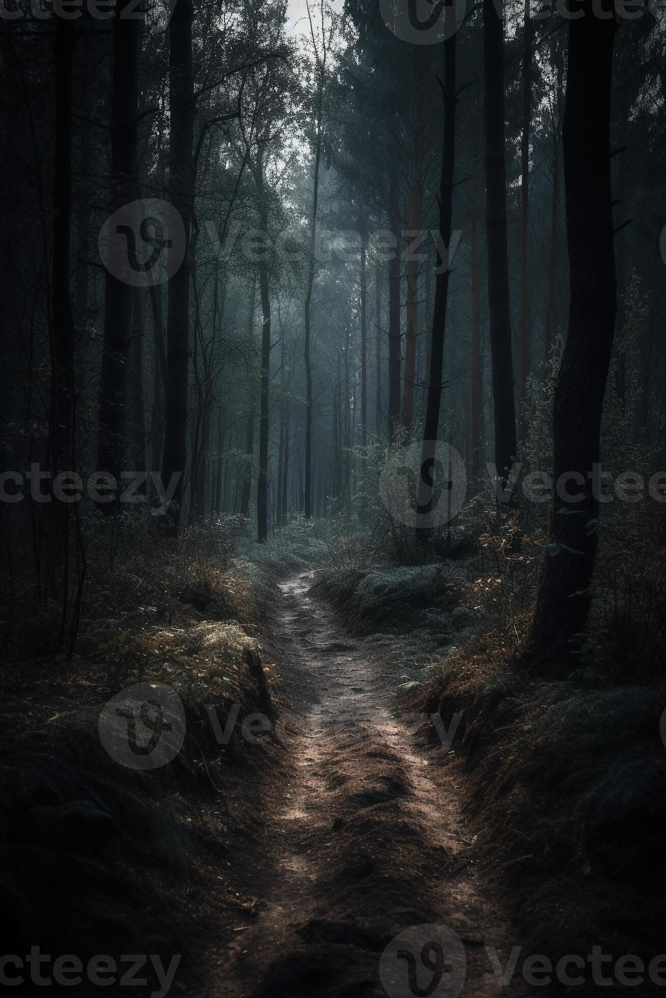 Dark Forest Path