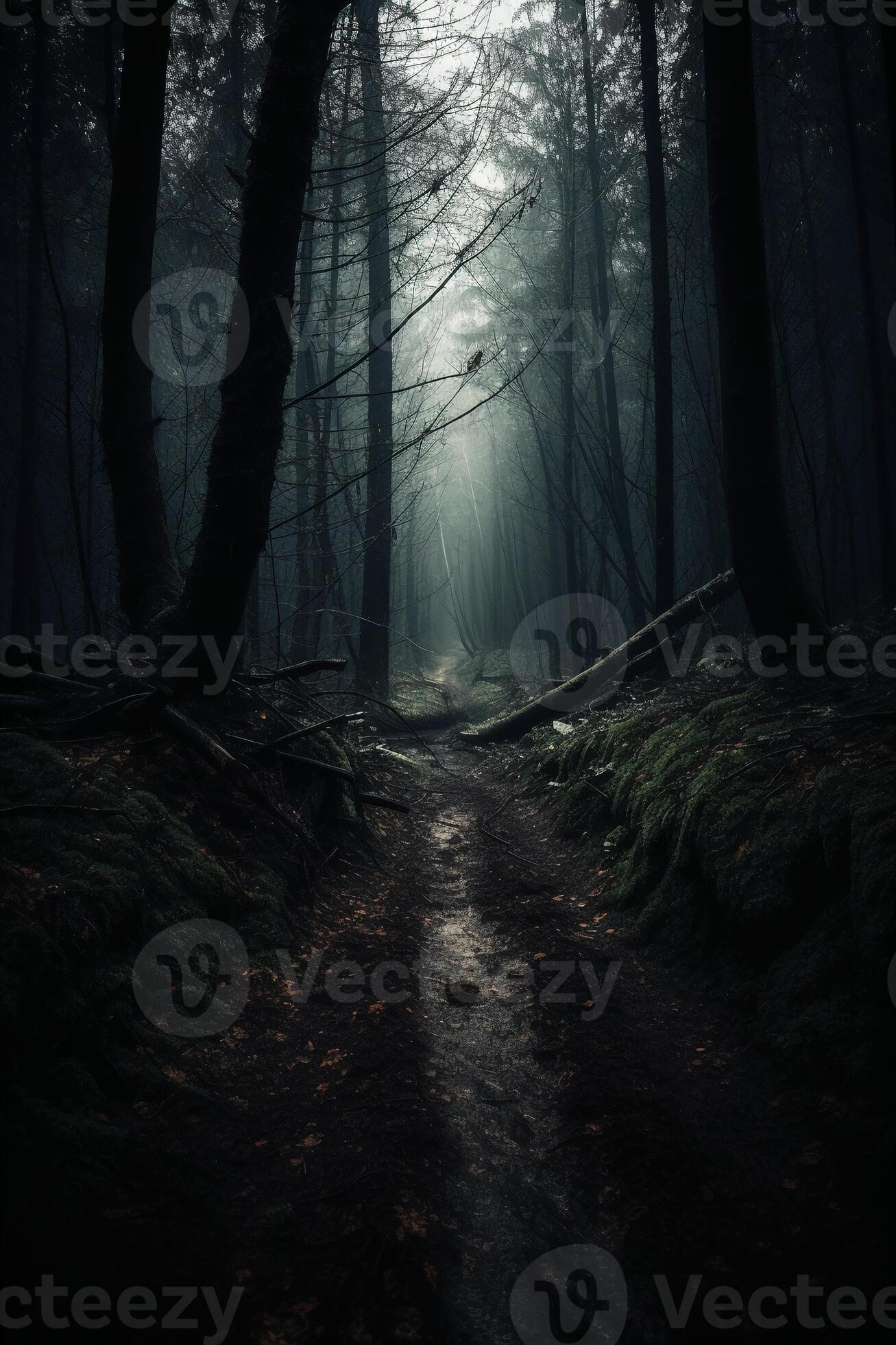 Dark forest, with a path in the middle, horror ambient, trees on the ...