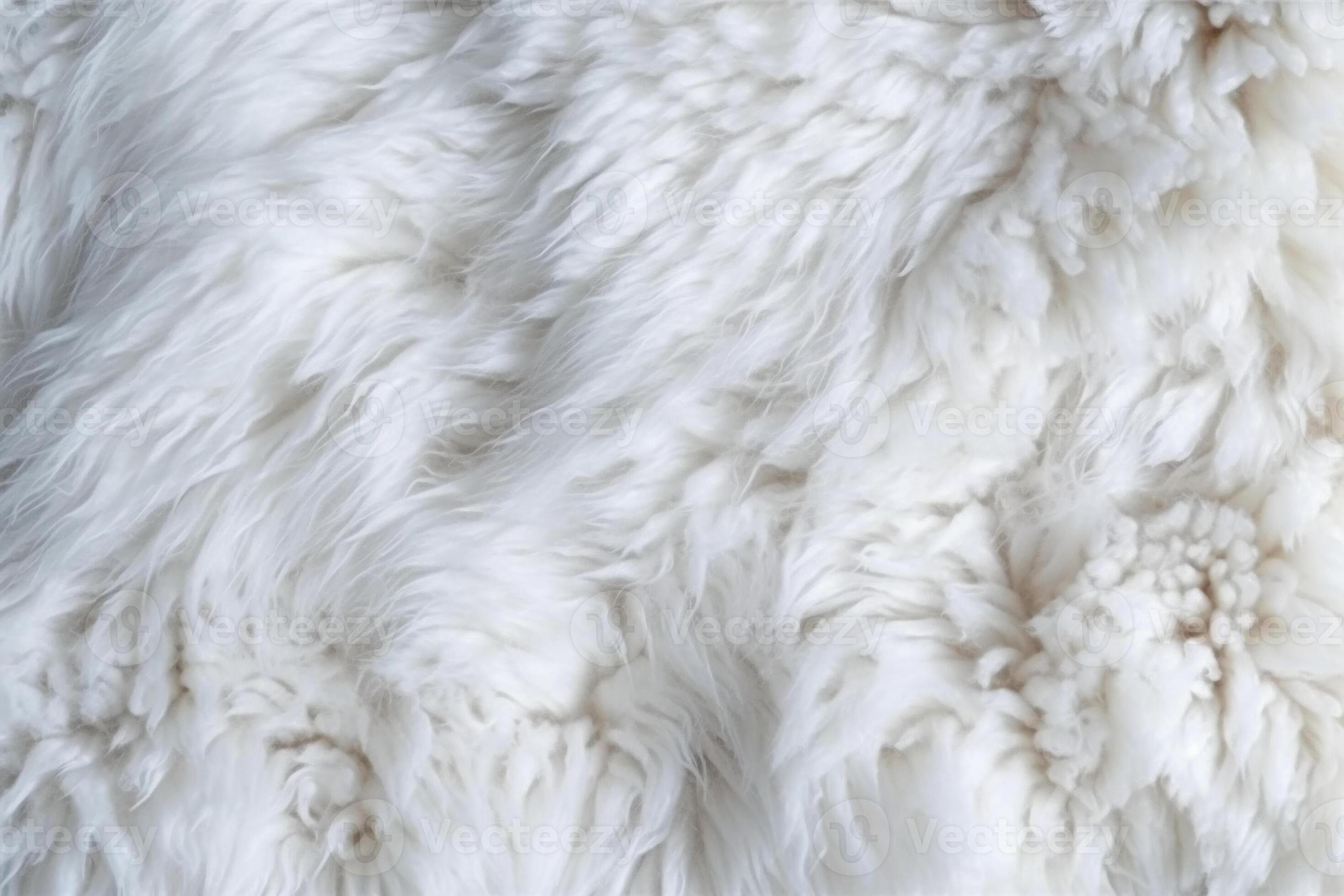 Very peri white color sheep fur sheepskin rug background Wool texture ...