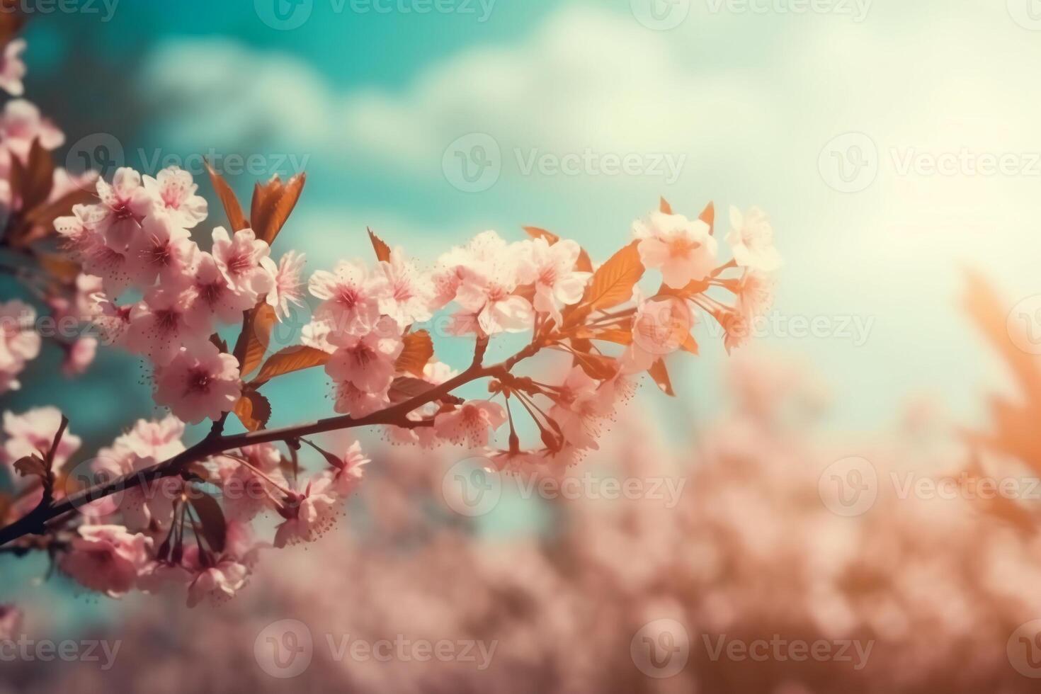 Spring Stock Photos, Images and Backgrounds for Free Download