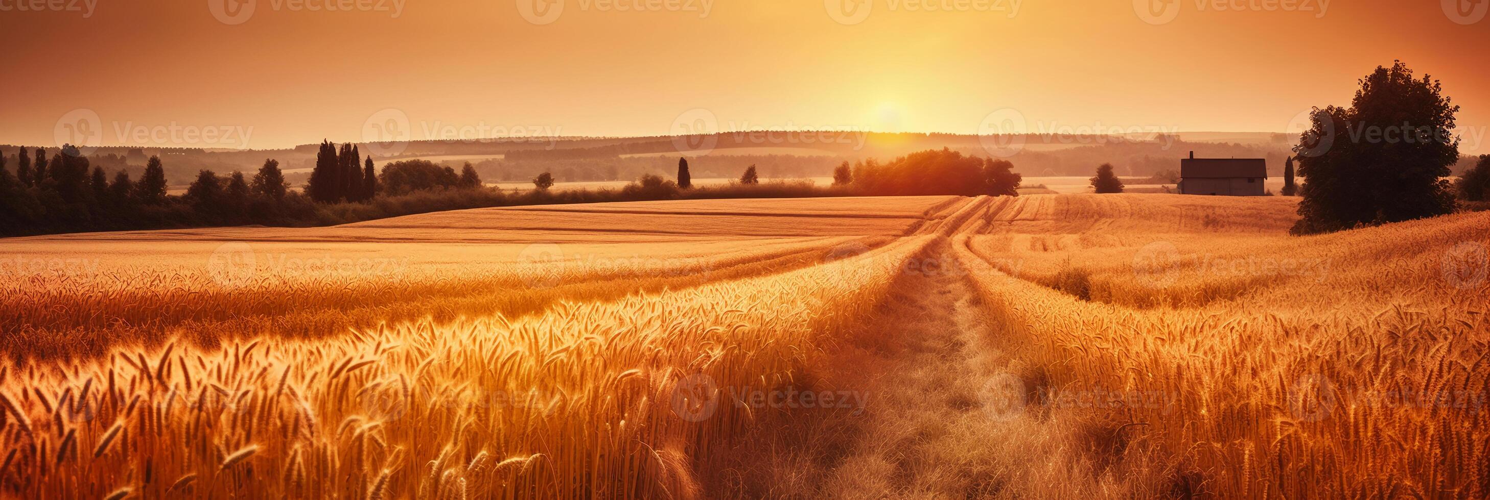 Beautiful colorful natural panoramic landscape with a field of ripe ...
