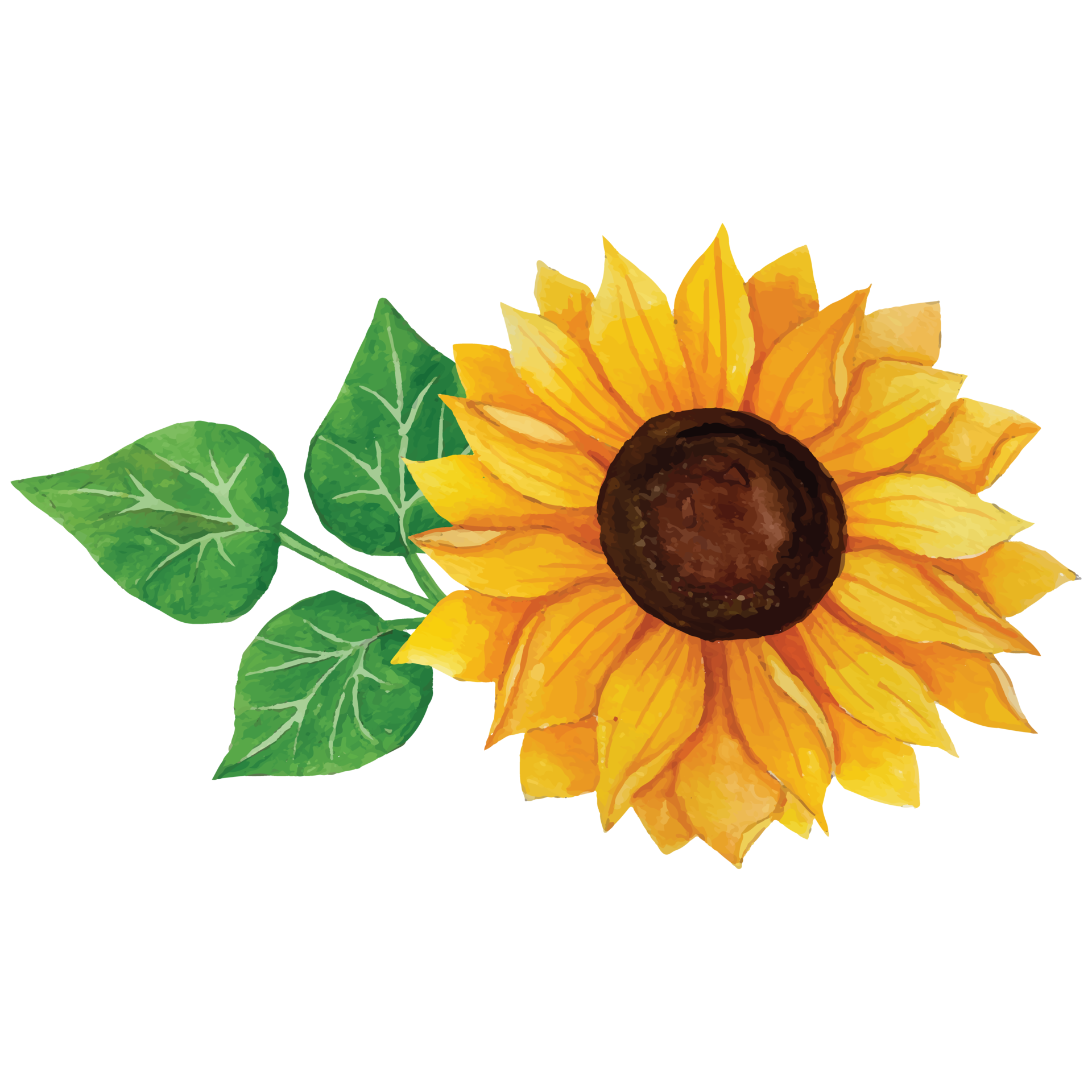 Sunflower Clip Art