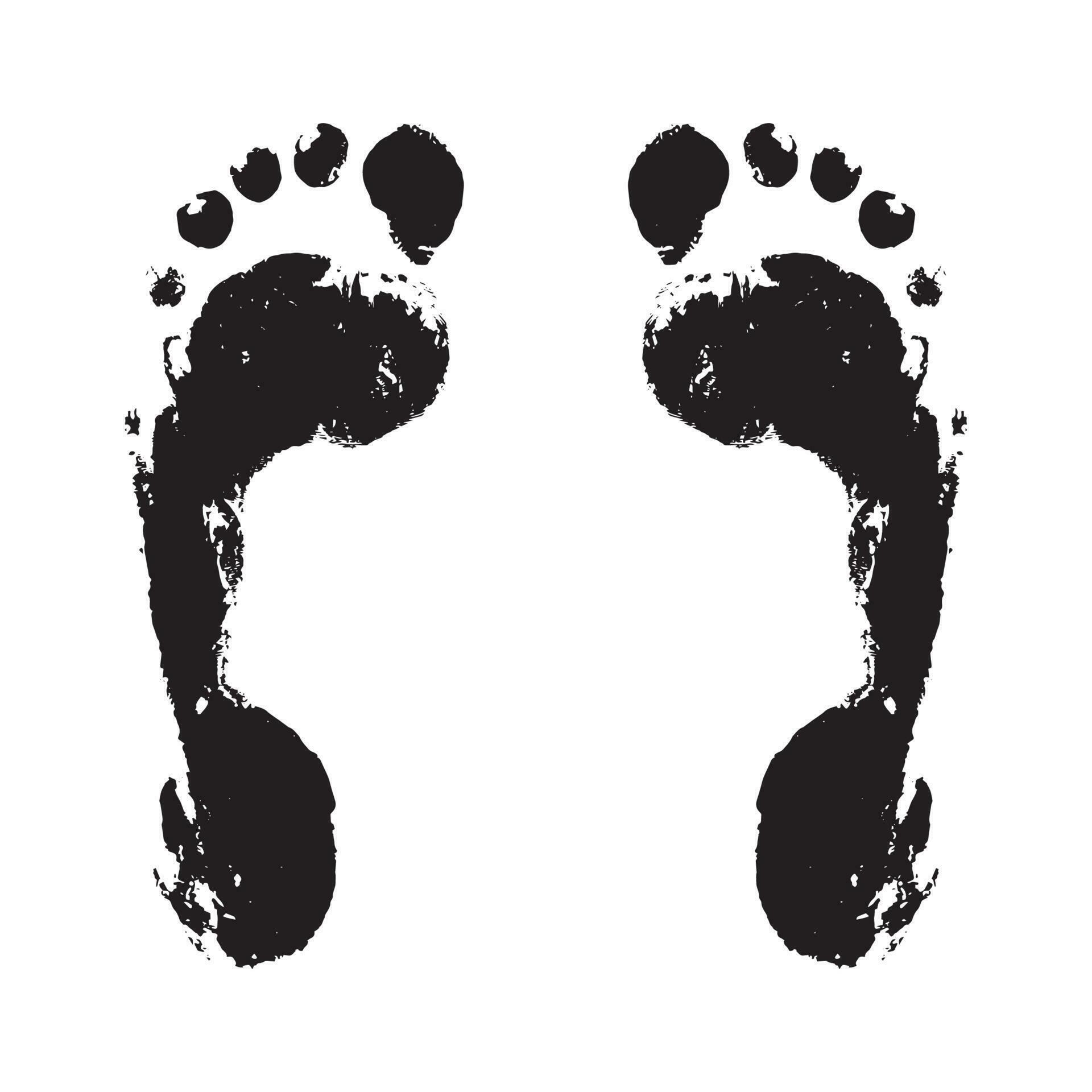 Real foot imprint. Footprint and foot steps, foot print vector and illustration 24210309 Vector ...