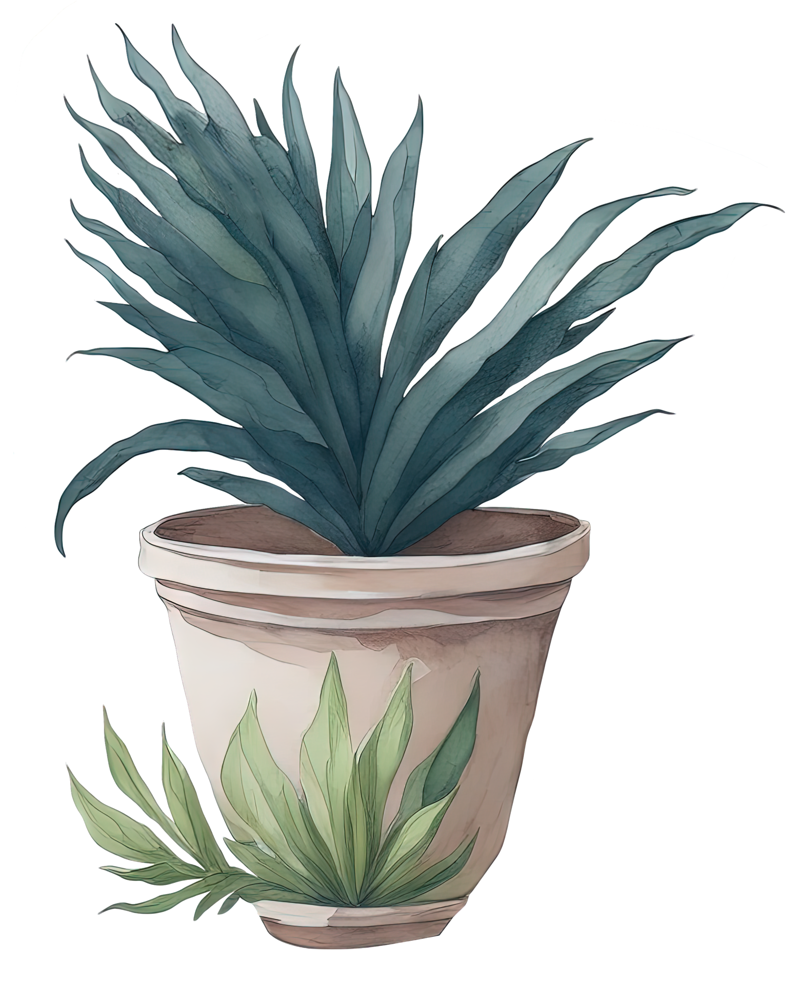 Watercolor House plant. 24217660 PNG