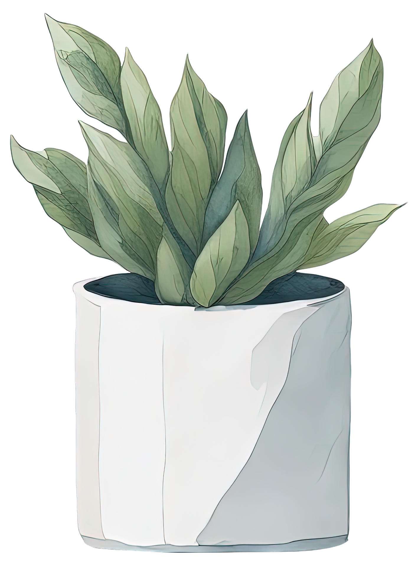 Watercolor House plant. 24217763 PNG