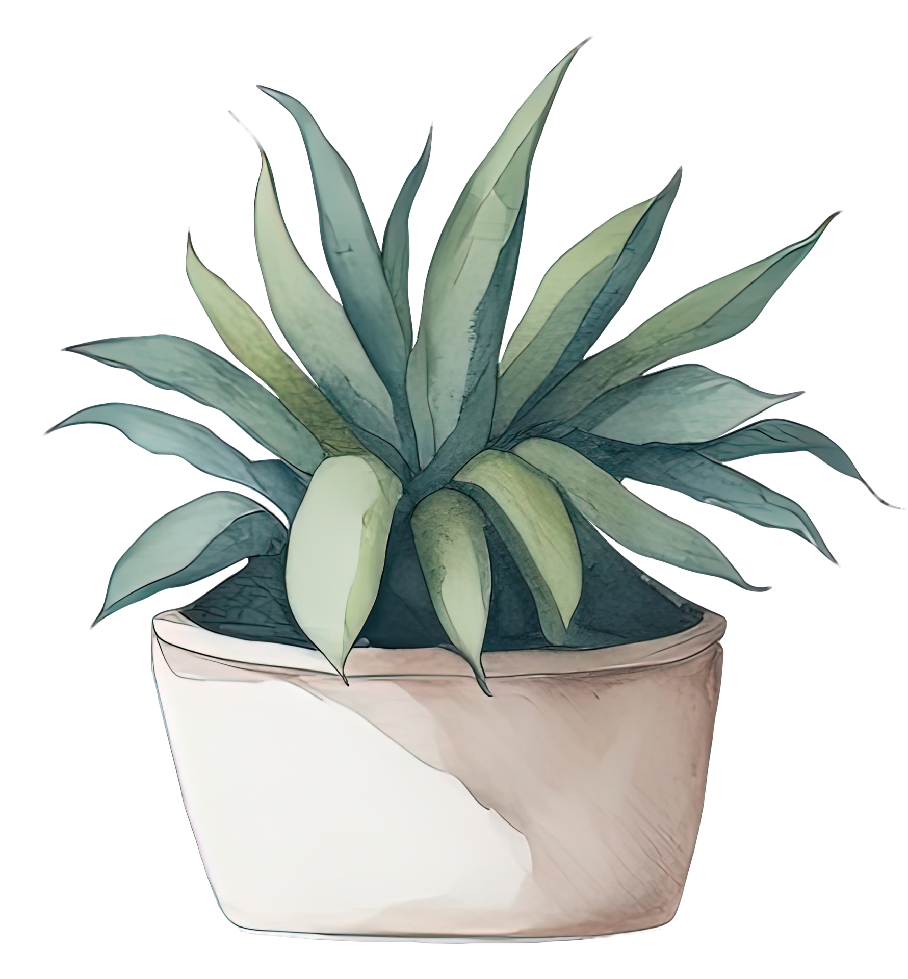 Watercolor House plant. 24217867 PNG