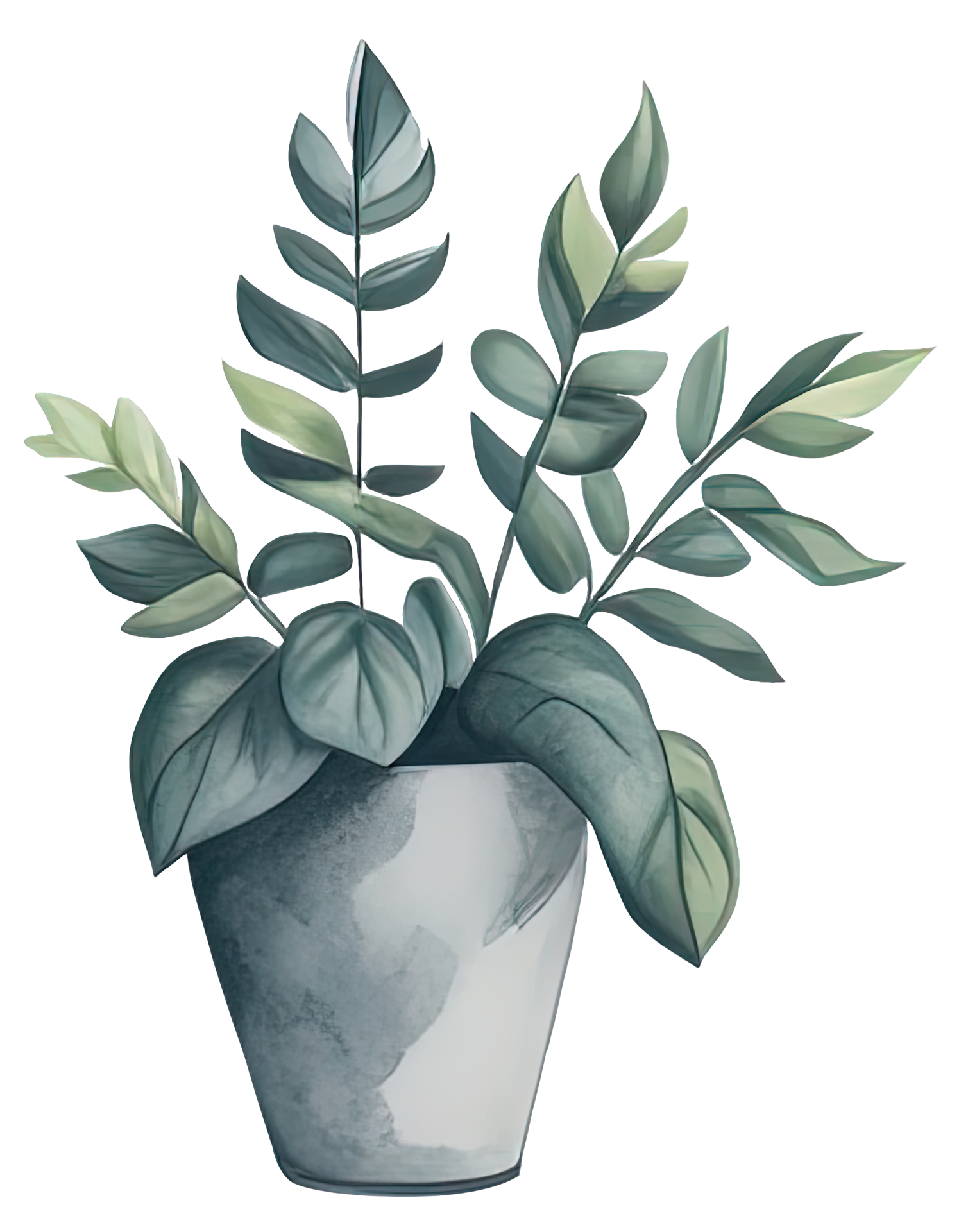 Watercolor House plant. 24217998 PNG