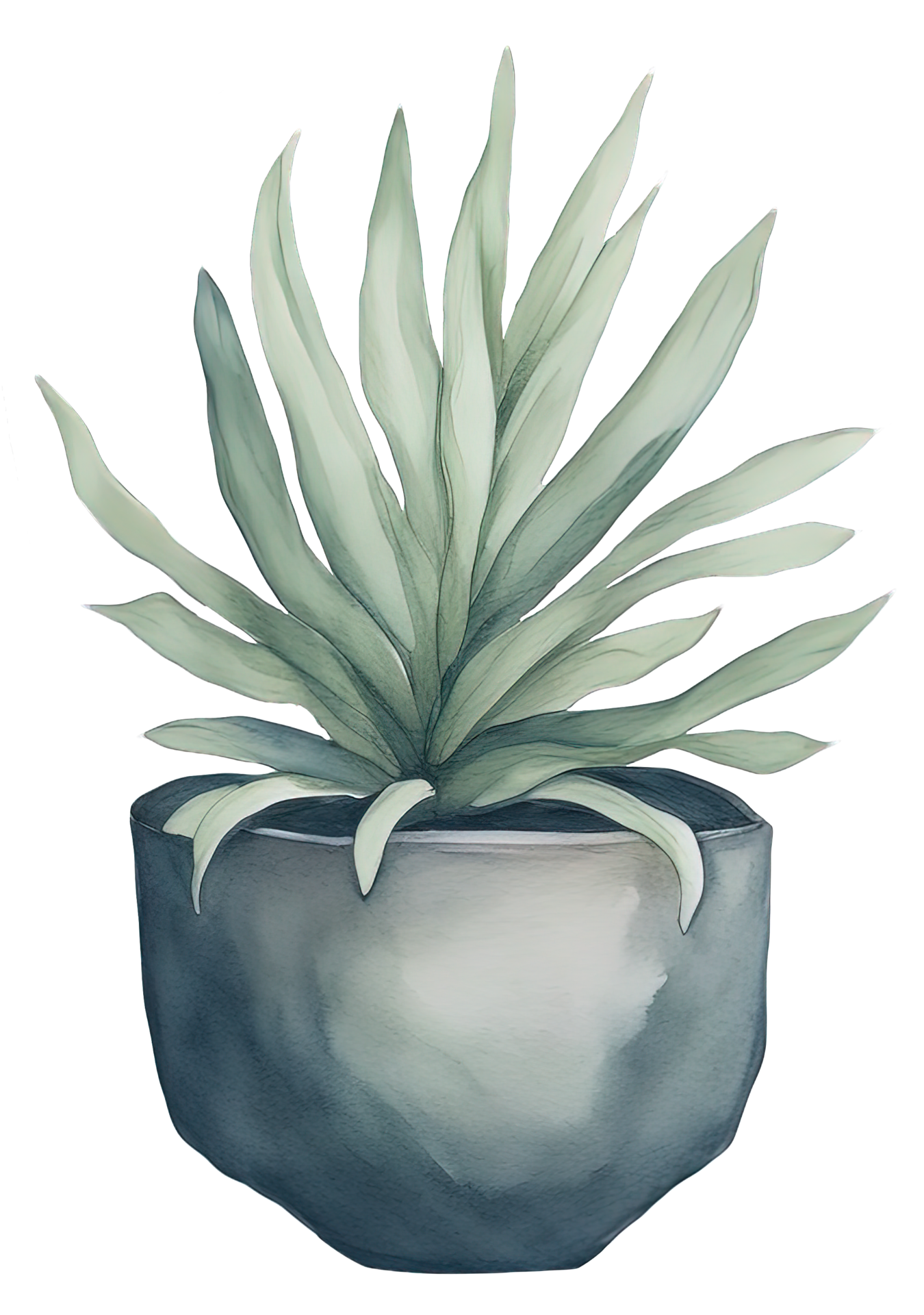Watercolor House plant. 24218054 PNG