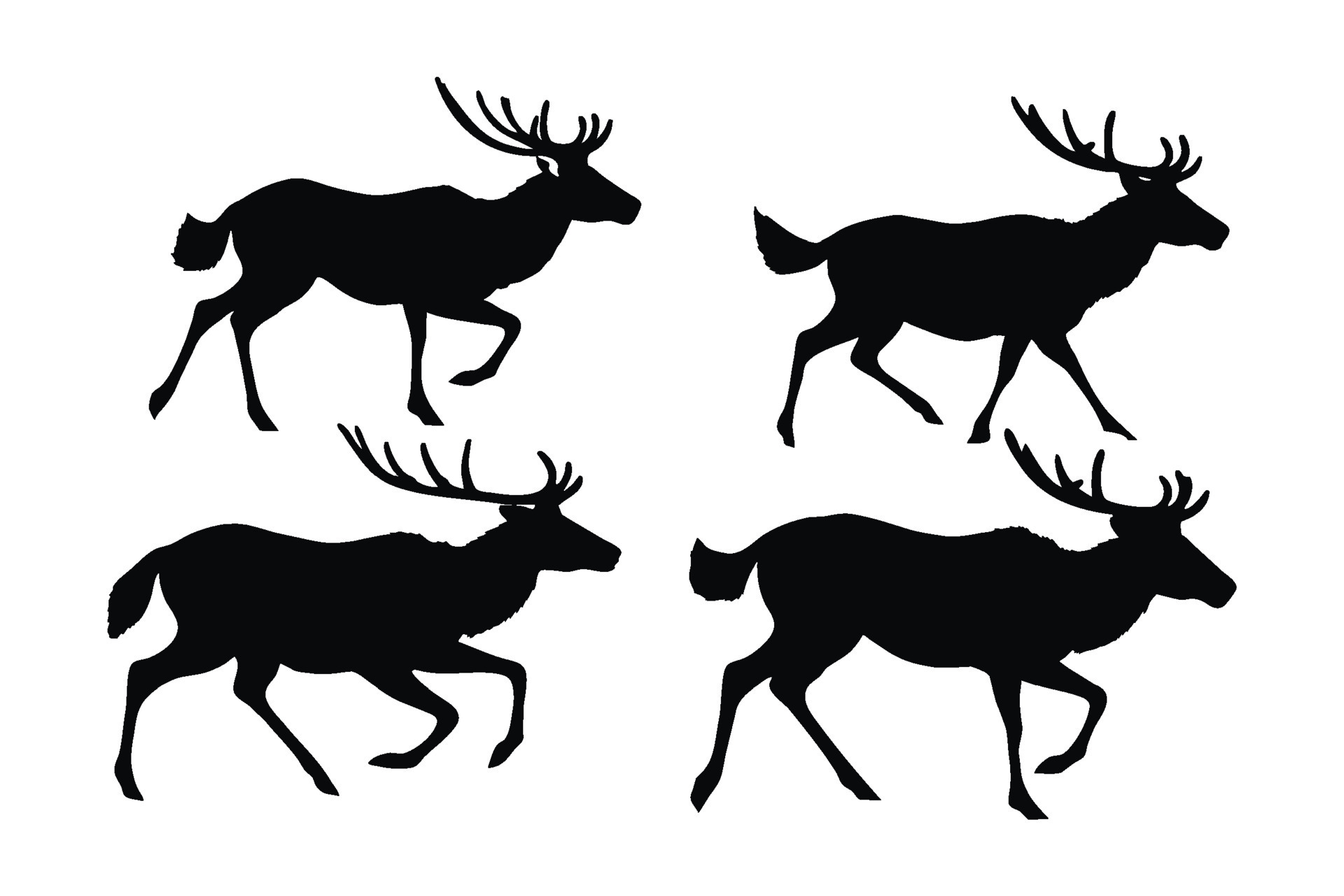 Buck Deer Silhouette Vector