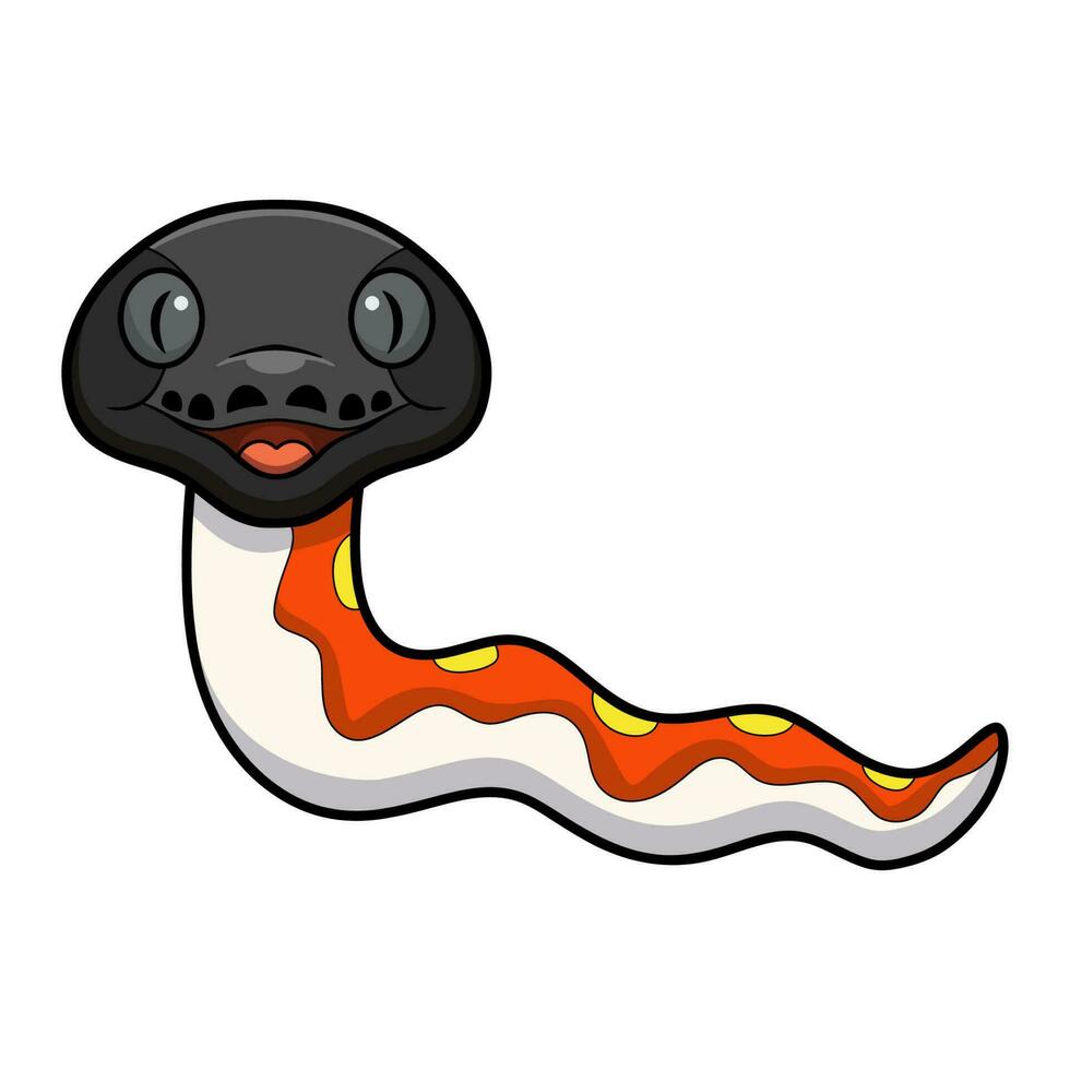 Cute red blood python cartoon 24232098 Vector Art at Vecteezy