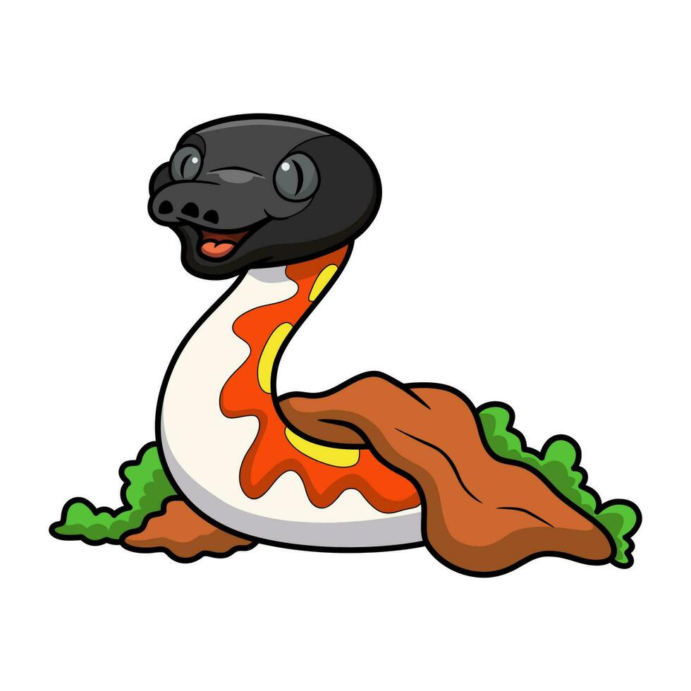 Cute red blood python cartoon out from hole 24232109 Vector Art at Vecteezy