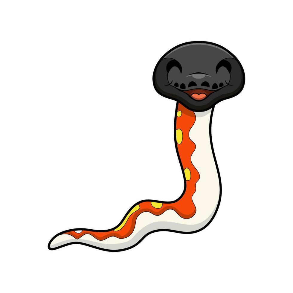 Cute red blood python cartoon 24232154 Vector Art at Vecteezy