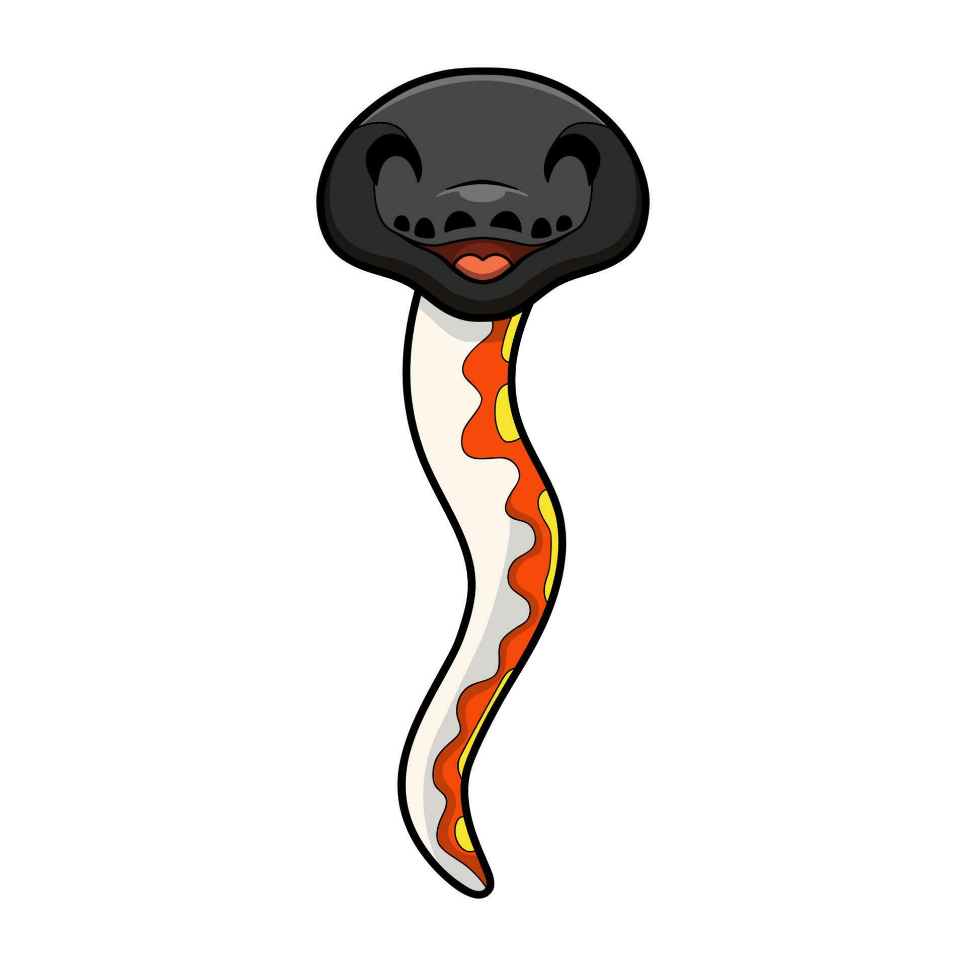 Cute red blood python cartoon 24232162 Vector Art at Vecteezy