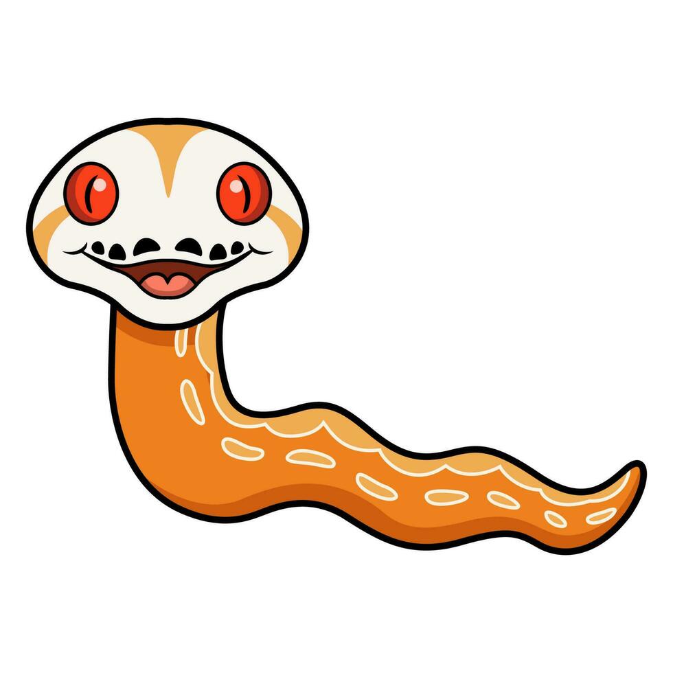 Cute albino sunfire tiger het genetic stripe reticulated python ... Cute albino sunfire tiger het genetic stripe reticulated python ...