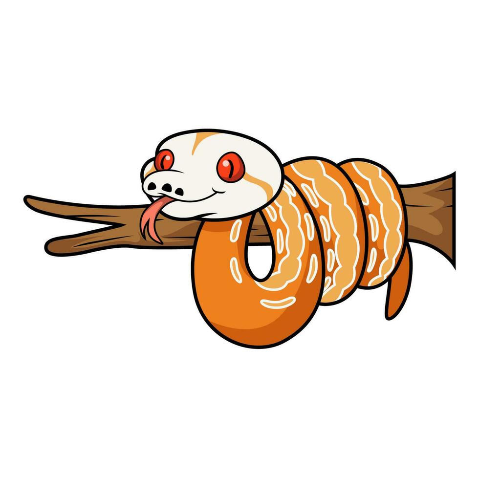 Cute albino sunfire tiger het genetic stripe reticulated python on tree ... Cute albino sunfire tiger het genetic stripe reticulated python on tree ...