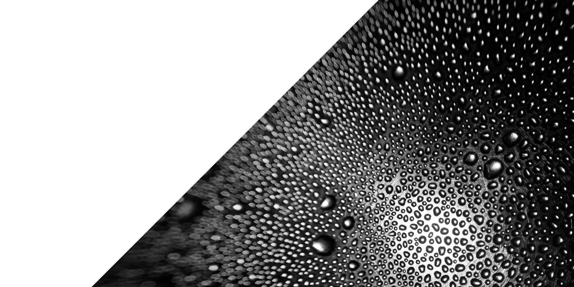 Transparent texture background 24239519 PNG