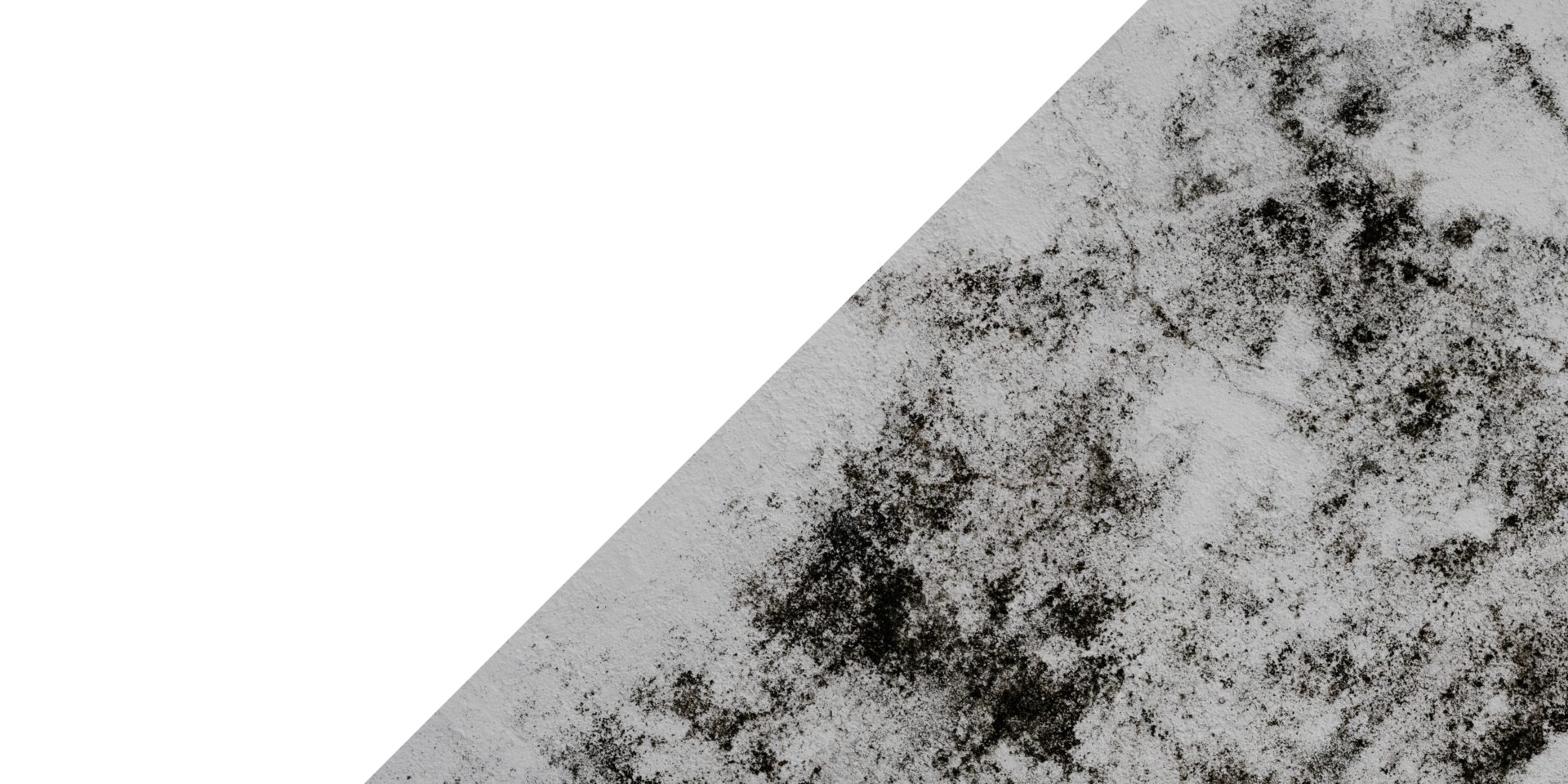 Transparent texture background 24239556 PNG