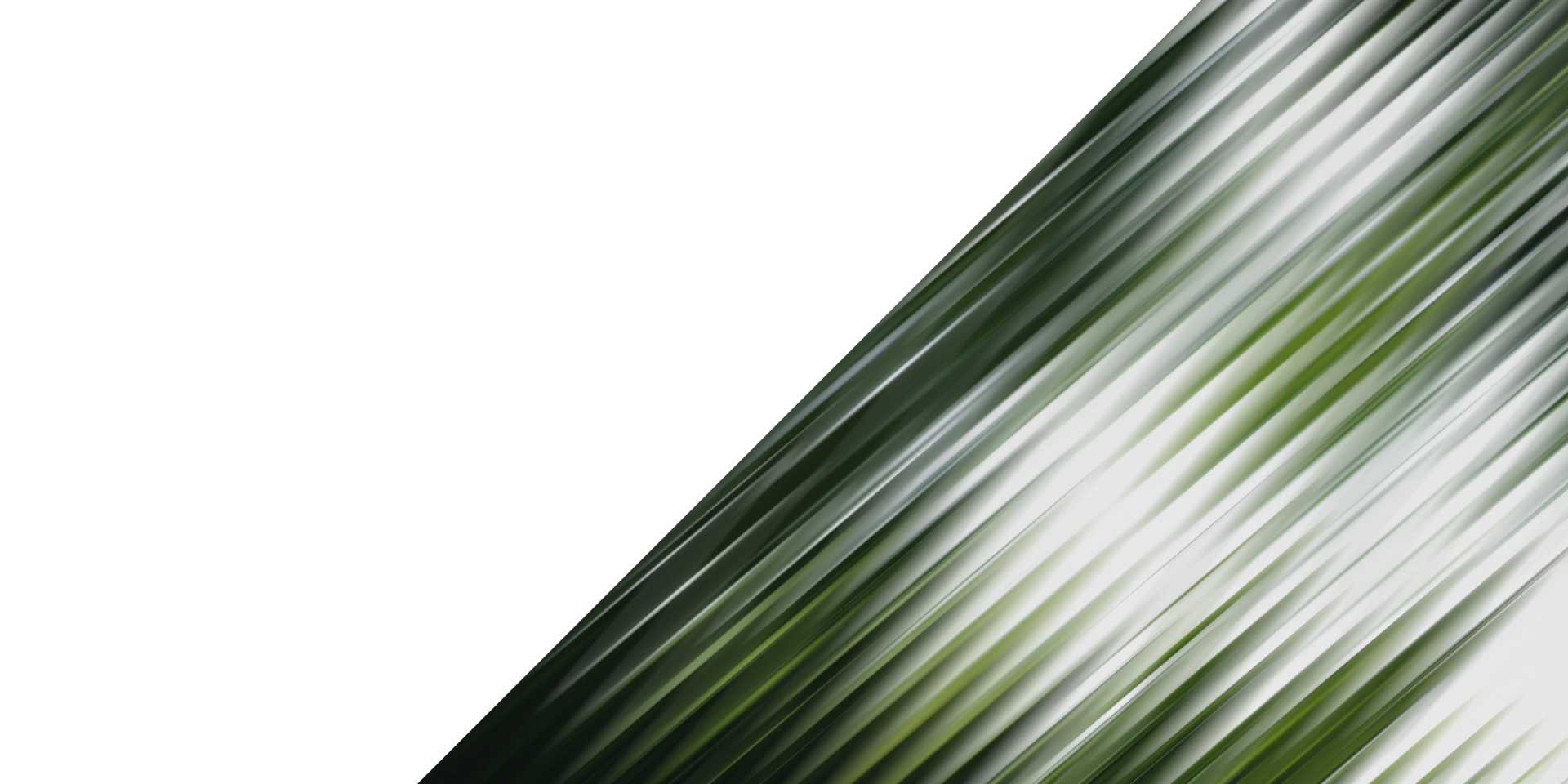 Transparent texture background 24239574 PNG