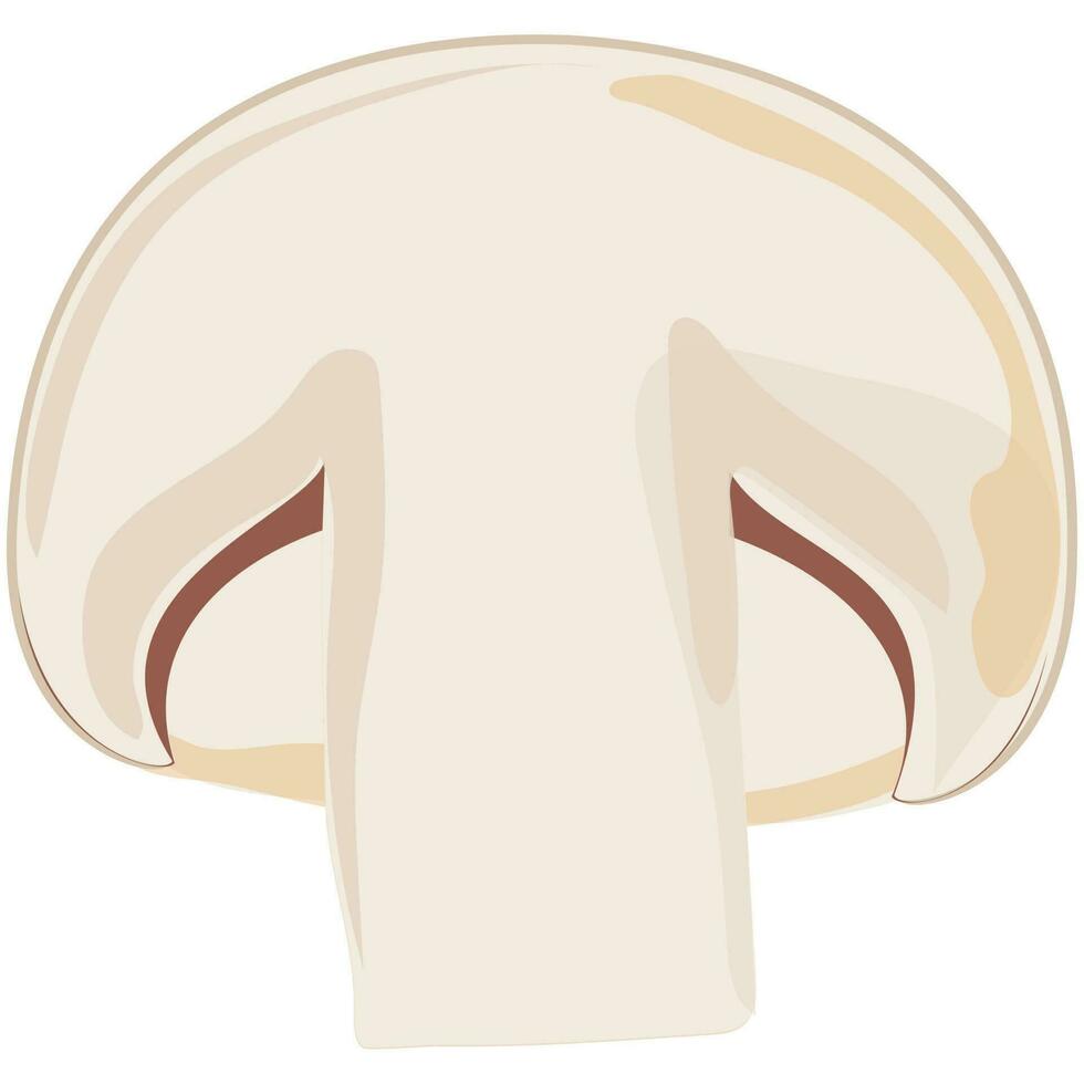 Illustration of a mashroom. 24243149 Vector Art at Vecteezy Illustration of a mashroom. 24243149 Vector Art at Vecteezy