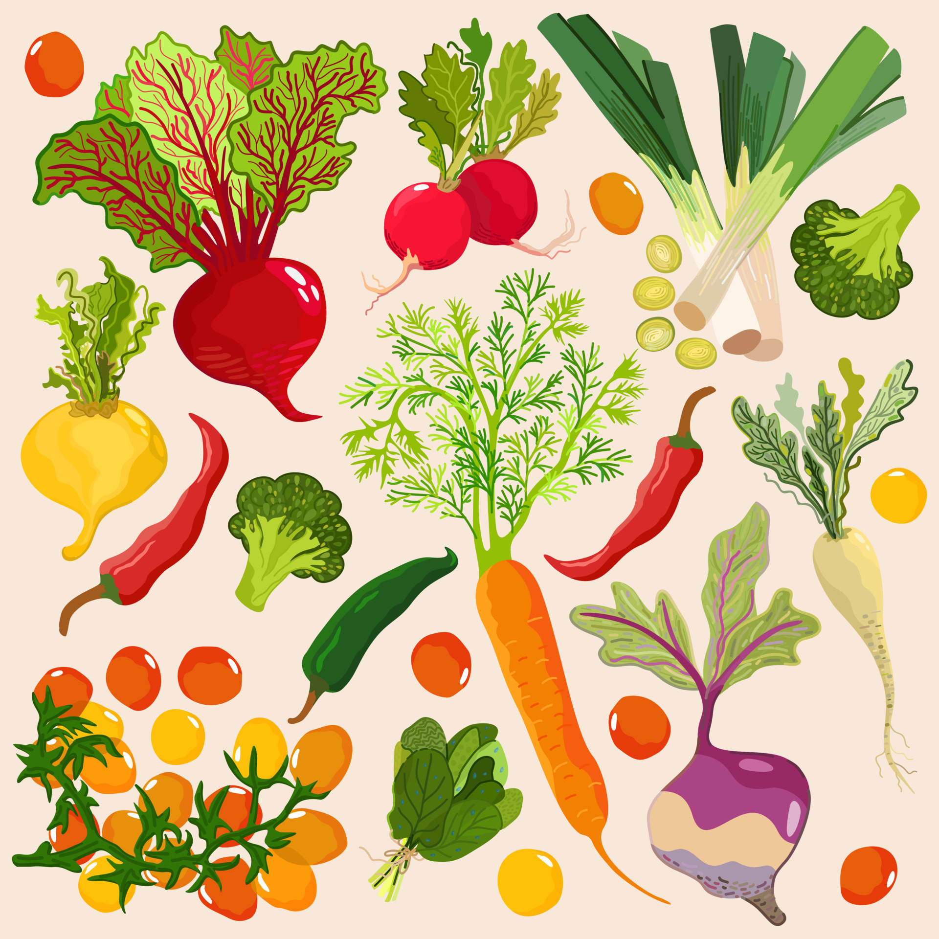 Summer vegetables. Vector collection isolated on light background ...
