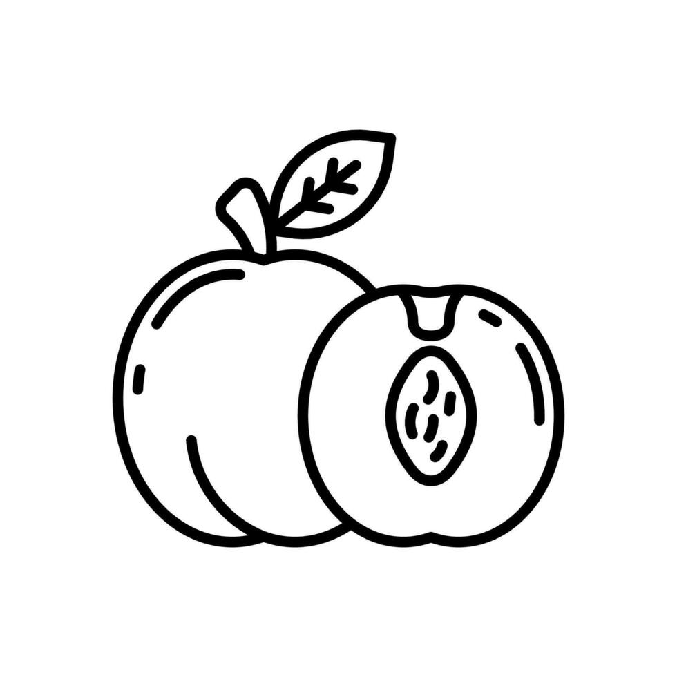 Nectarines Icon In Vector Illustration 24247501 Vector Art At Vecteezy