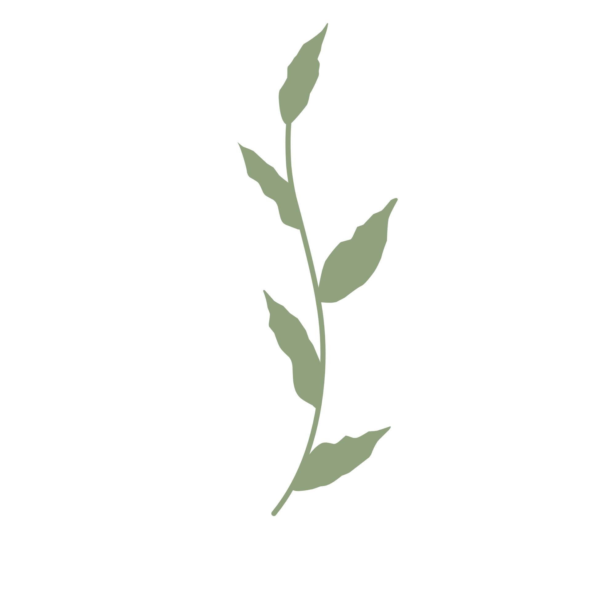 Floral For Wedding Decorations 24257936 PNG floral-for-wedding-decorations-24257936-png