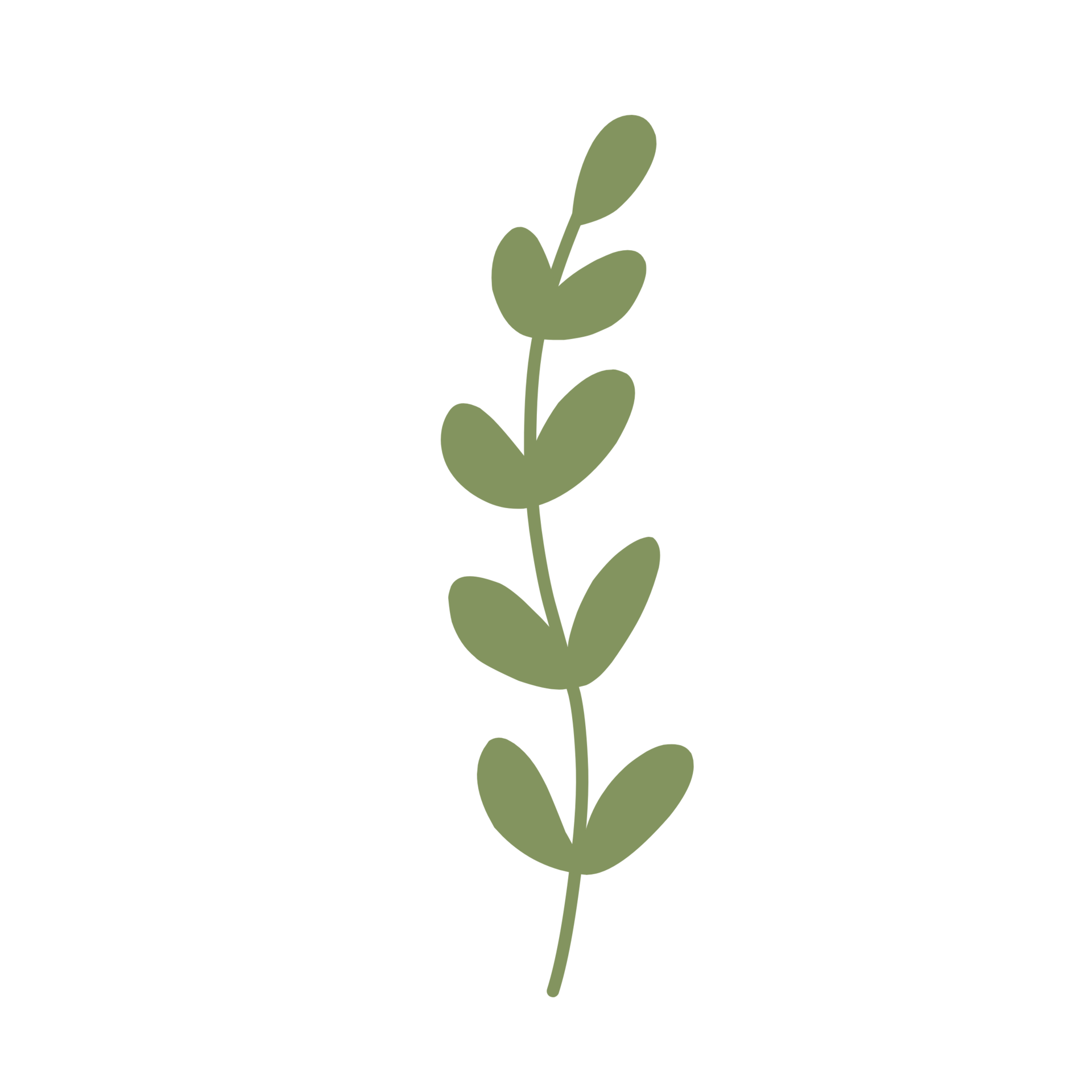 Floral For Wedding Decorations 24257951 PNG floral-for-wedding-decorations-24257951-png
