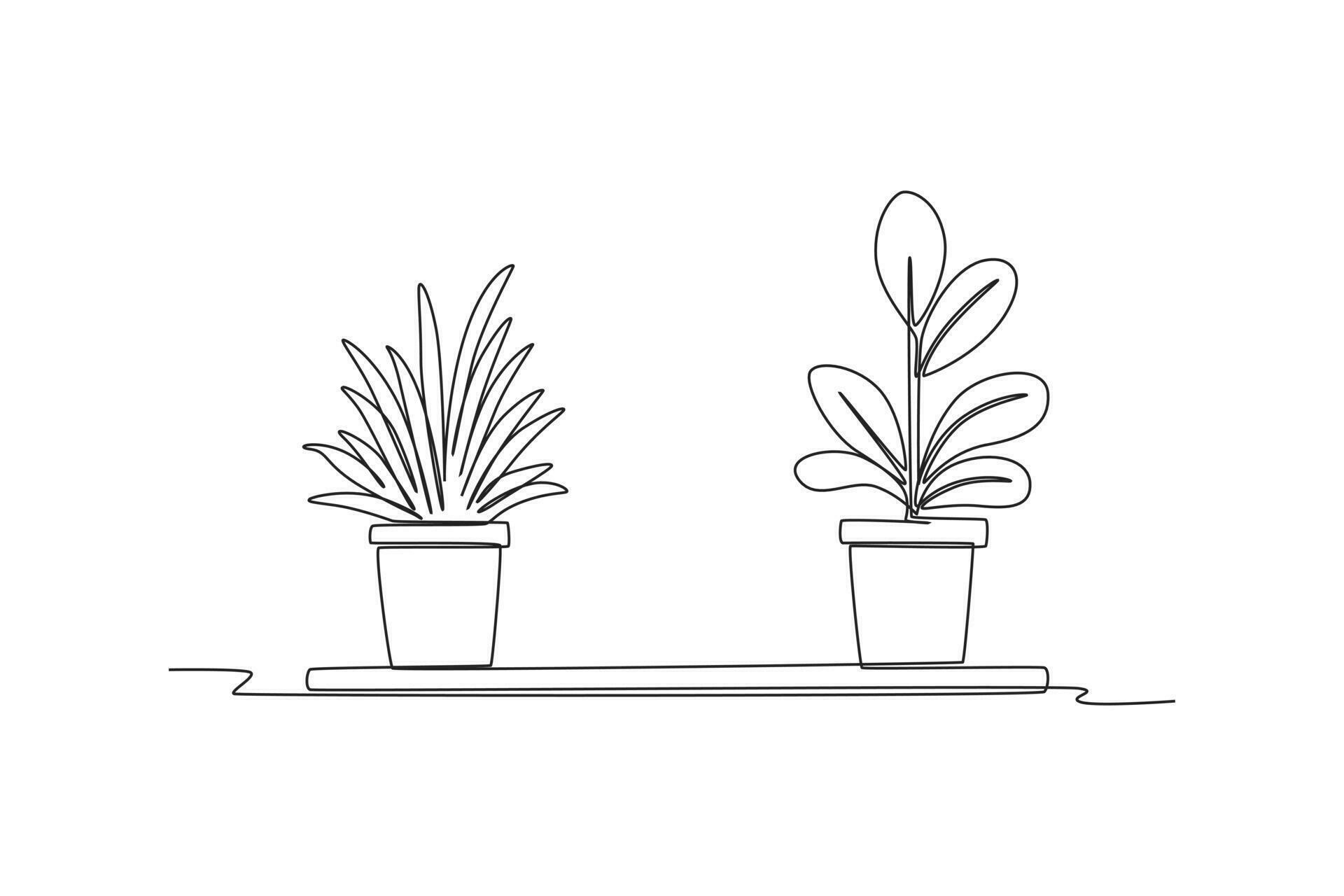 Continuous One Line Drawing Potted Plants For The Interior Interior