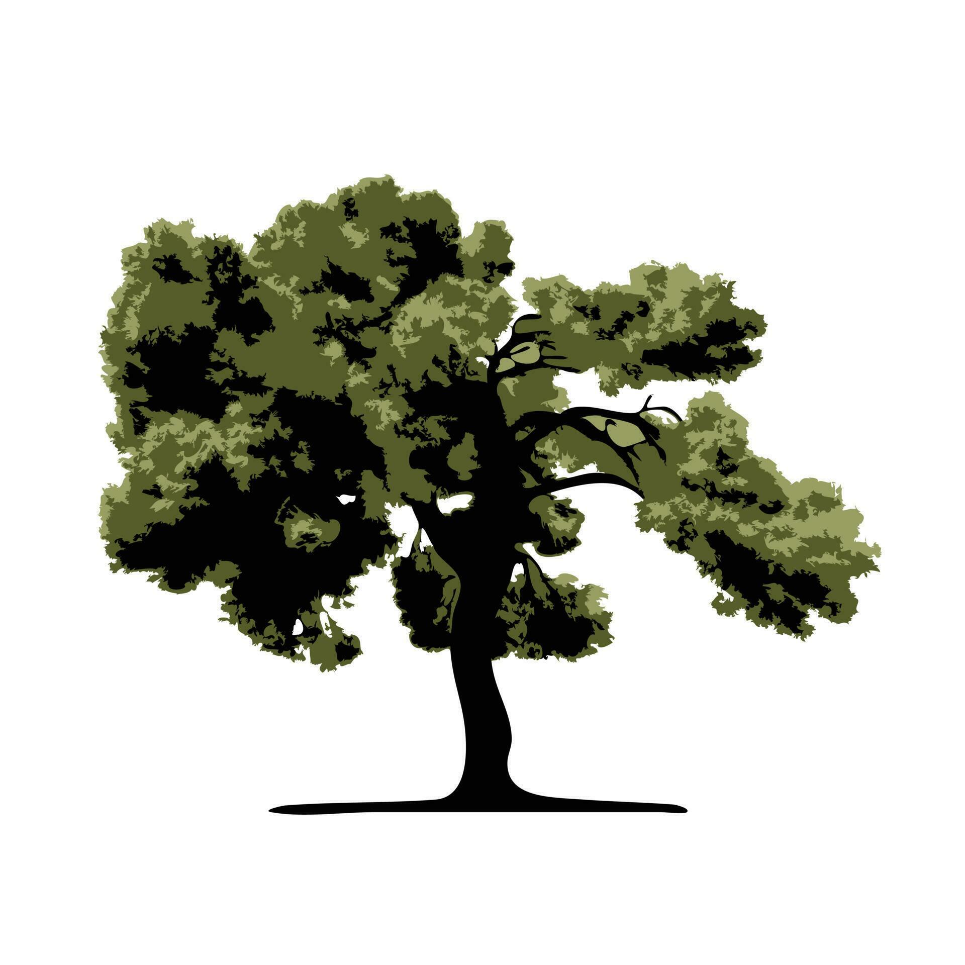 tree isolated on white background 24261849 Vector Art at Vecteezy