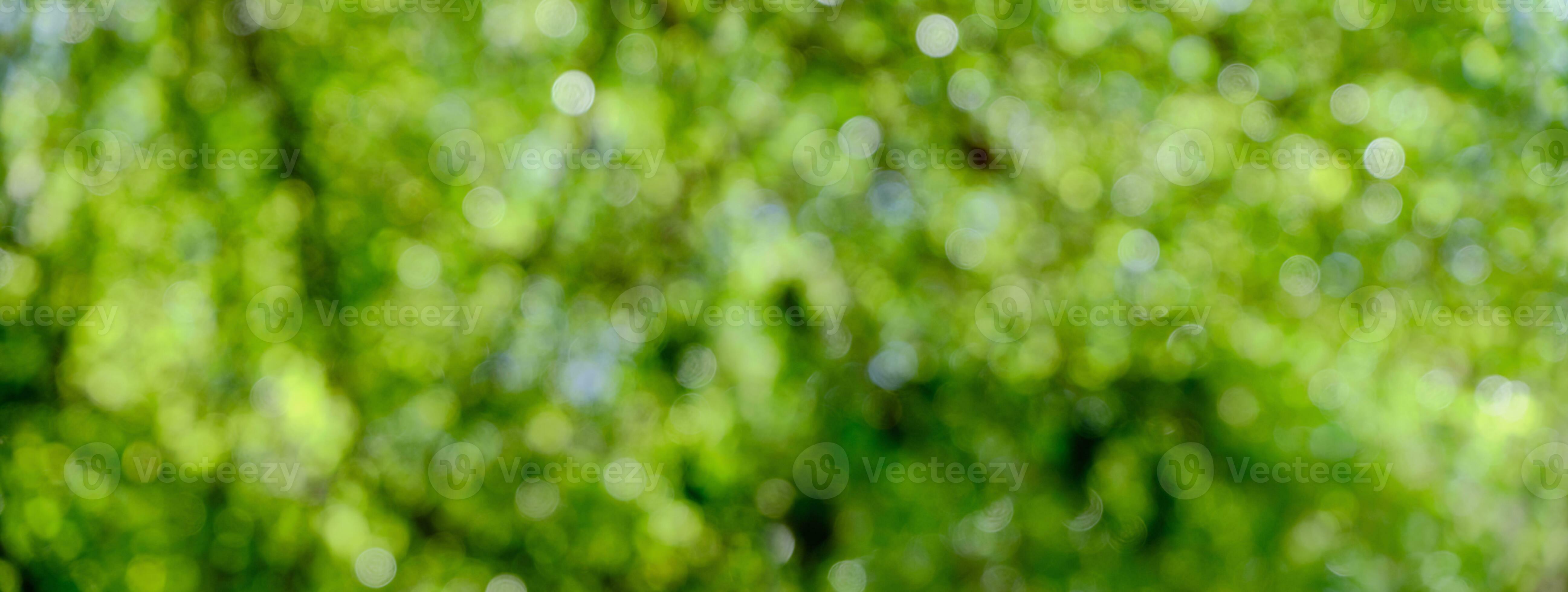 Green leaf bokeh pattern background for design 24270635 Stock Photo at ... Green leaf bokeh pattern background for design 24270635 Stock Photo at ...
